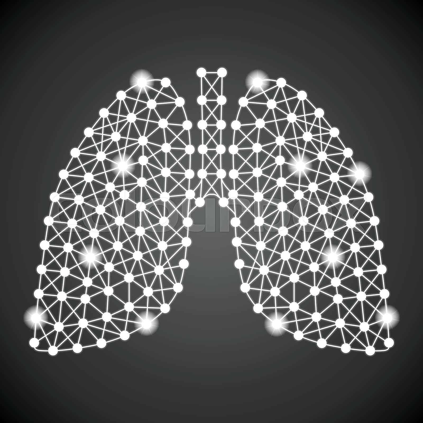Human Lungs Isolated On A Black Background. Vector Illustration ...