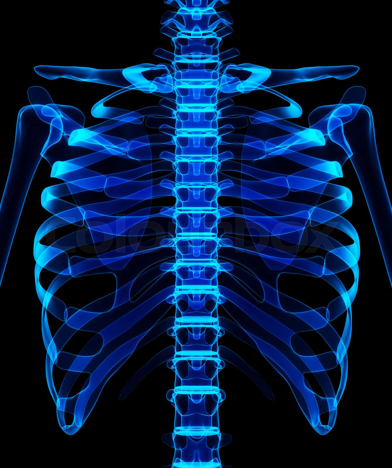 3D illustration of shiny blue skeleton system. | Stock image | Colourbox