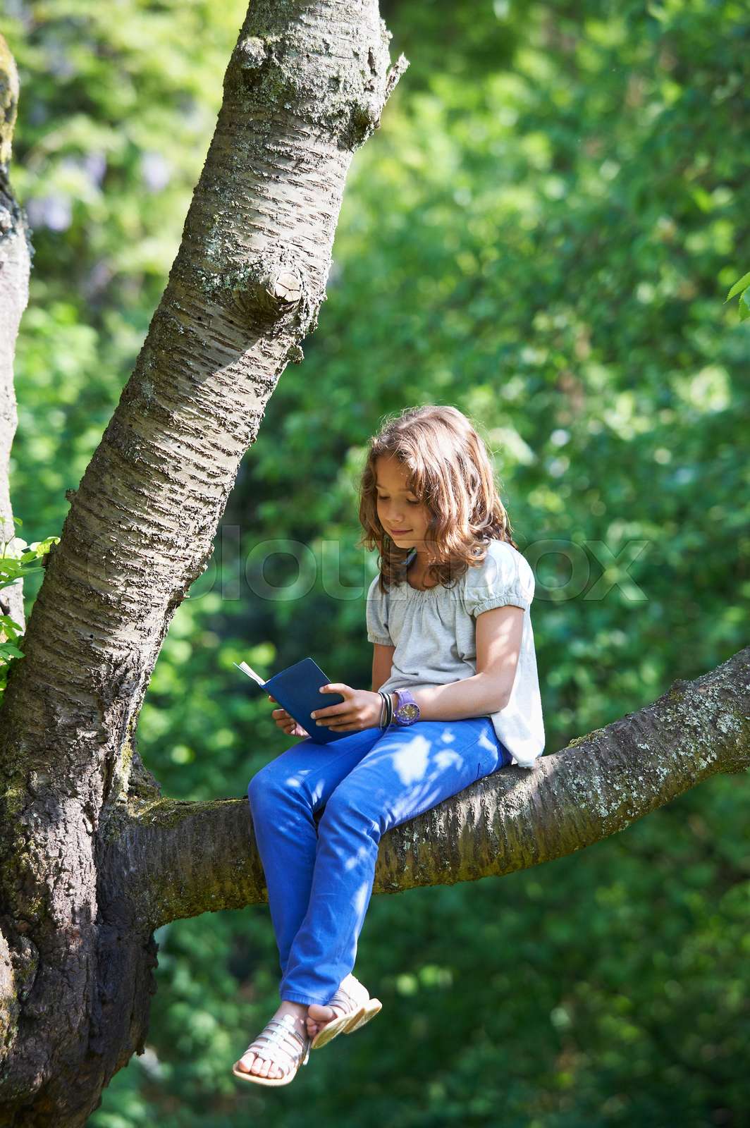 Girl reading in tree outdoors | Stock image | Colourbox