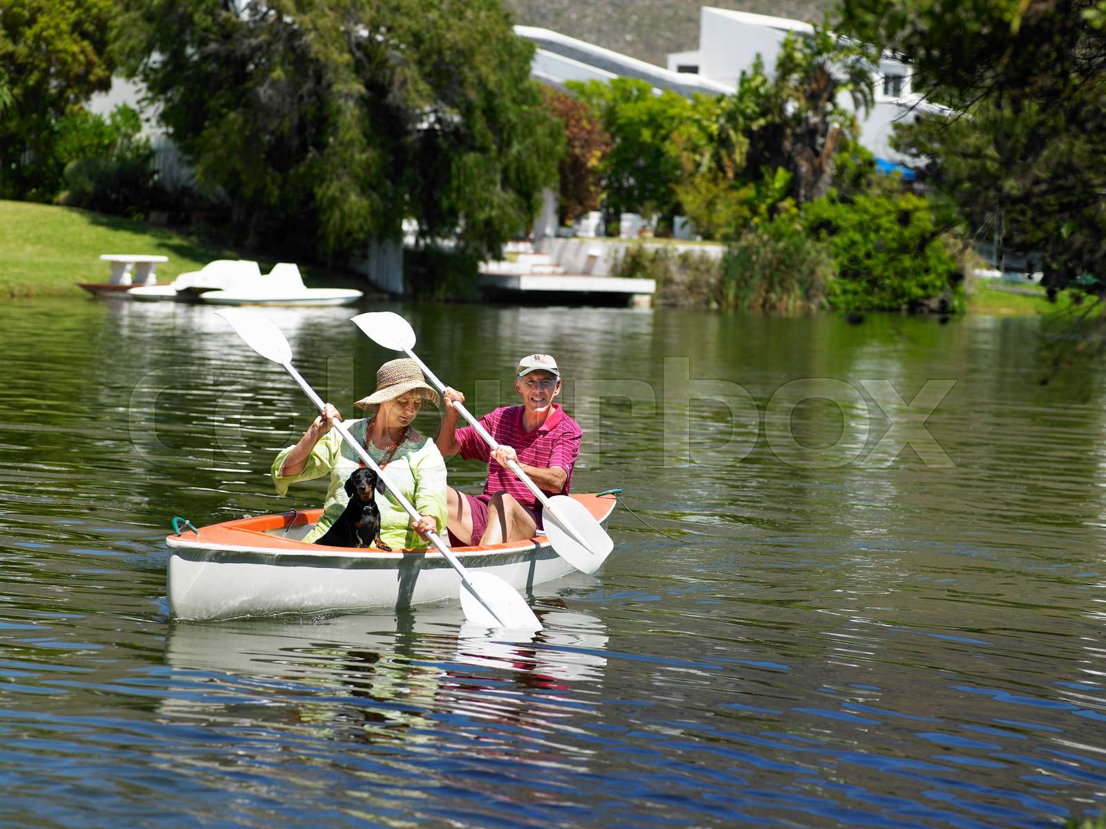 Older couple rowing canoe on lake | Stock image | Colourbox