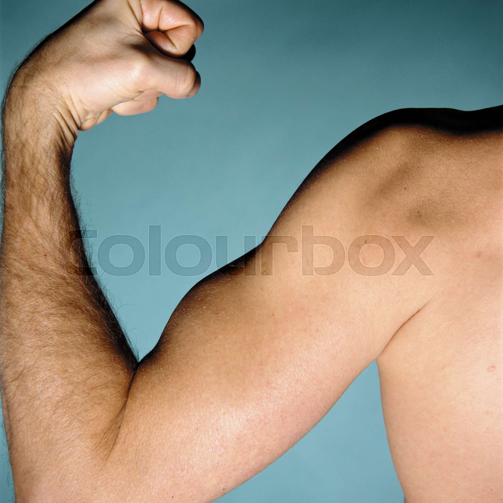 Male flexing muscles | Stock image | Colourbox