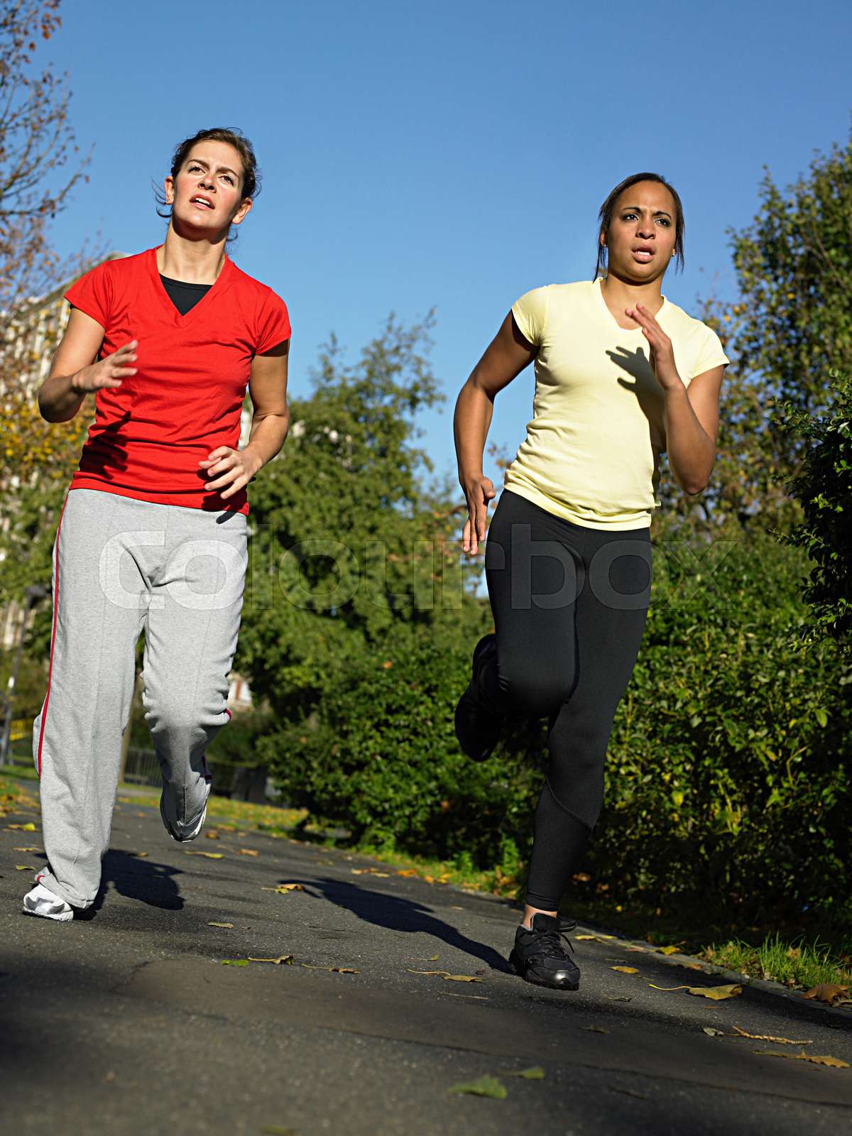 Two women jogging | Stock image | Colourbox