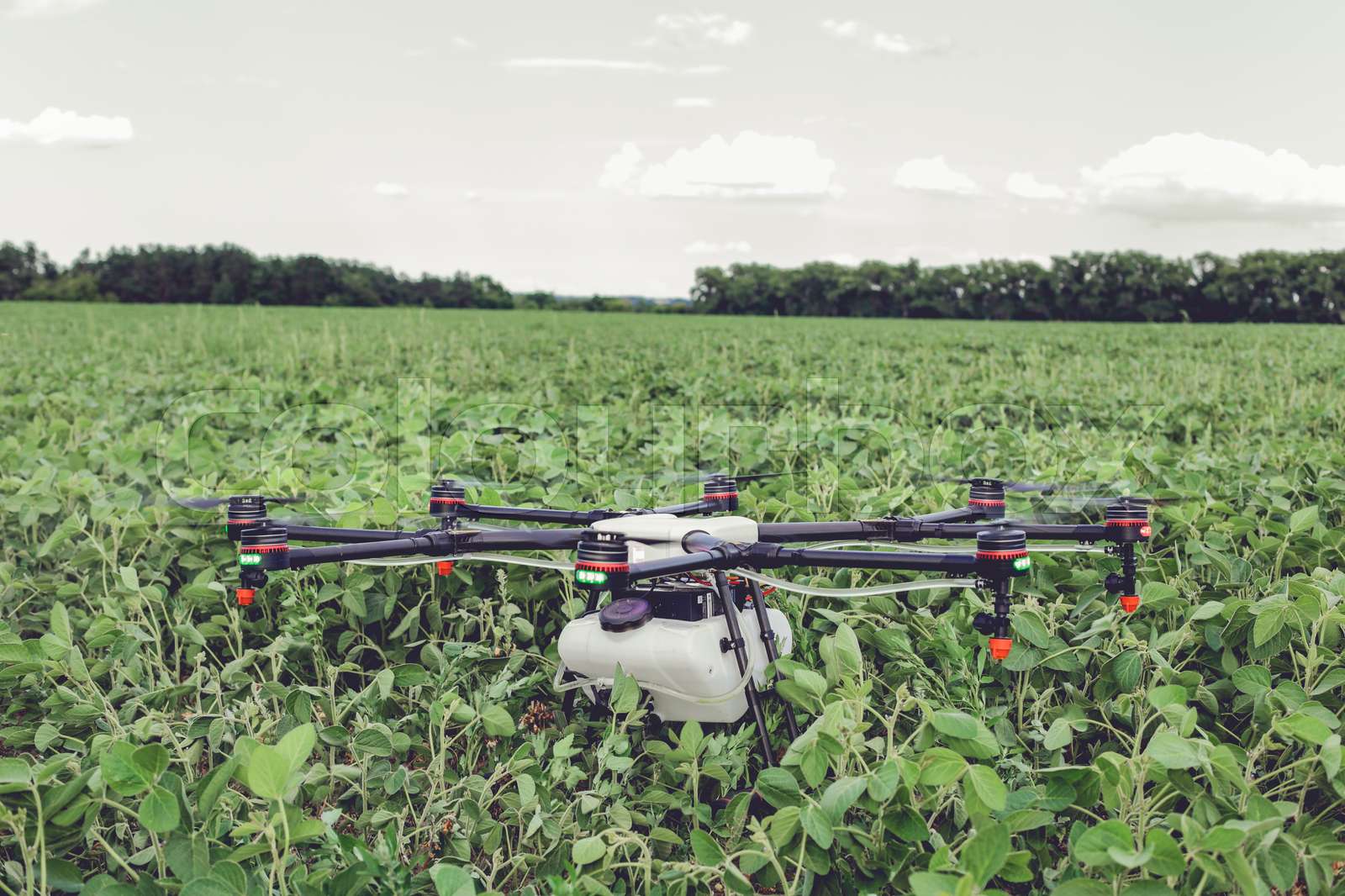 Professional agriculture drone stands on the ground green field ...