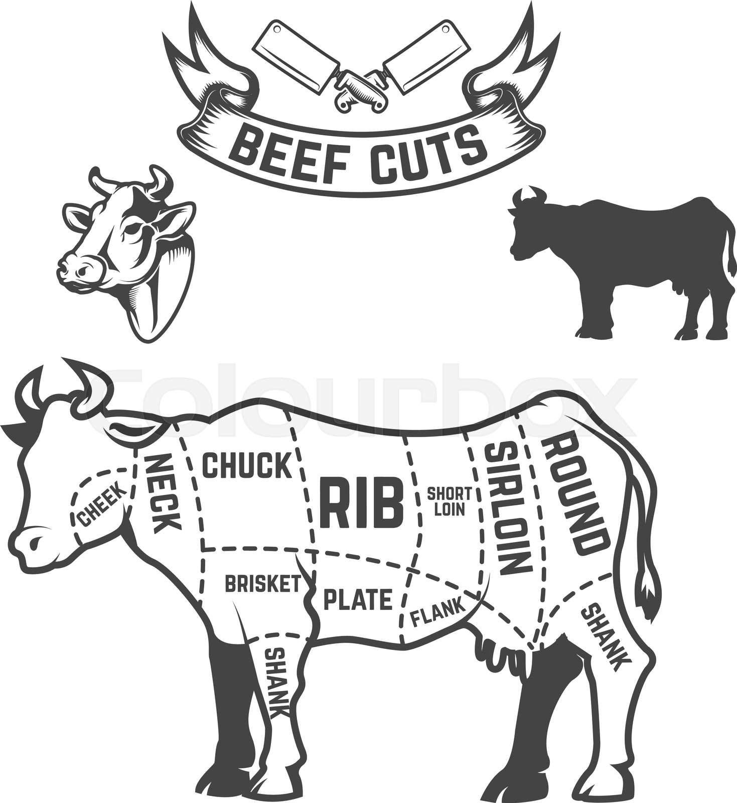 Beef Cow Vector