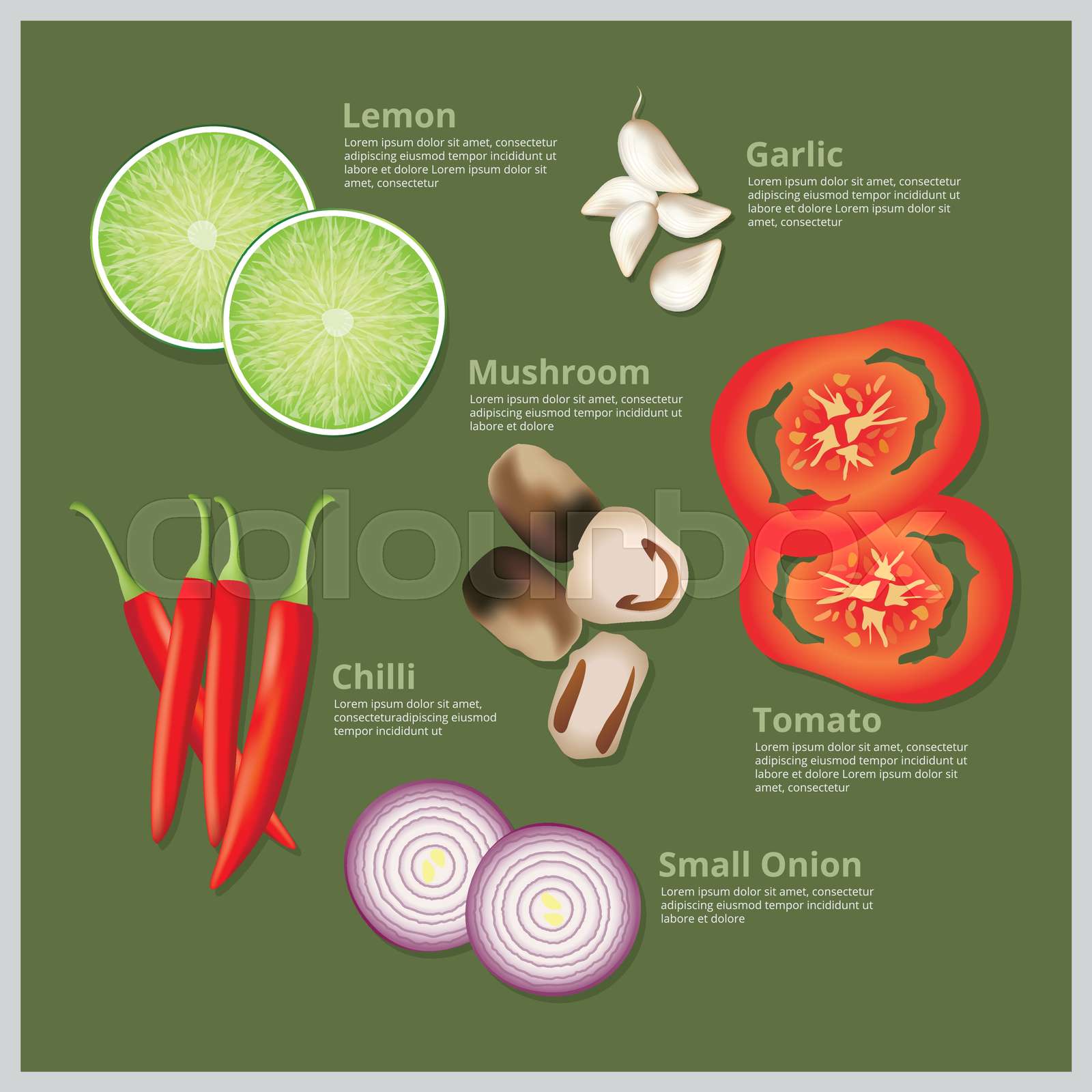 Vector Illustration Ingredient Food, Raw Food, Material Food | Stock ...