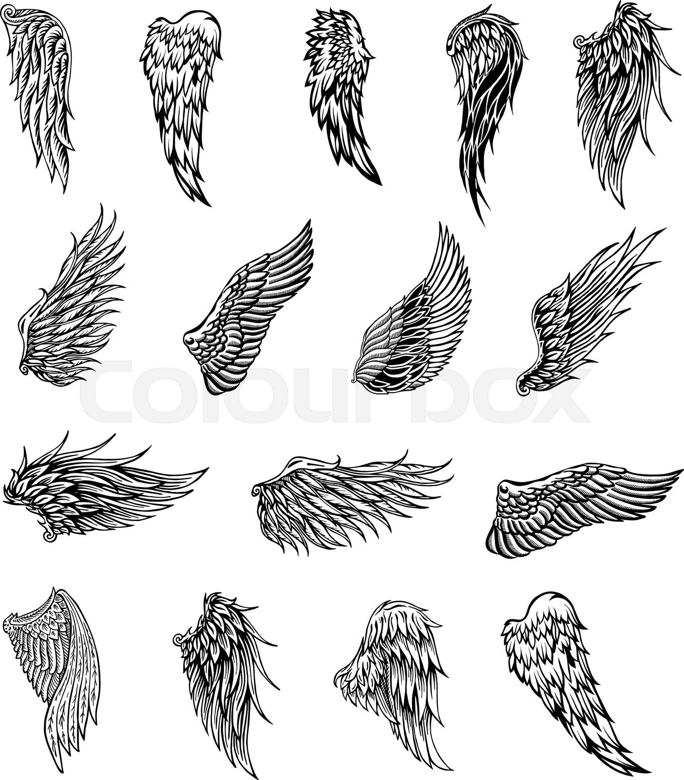 vektor, feder, engel | Stock-Vektor | Colourbox