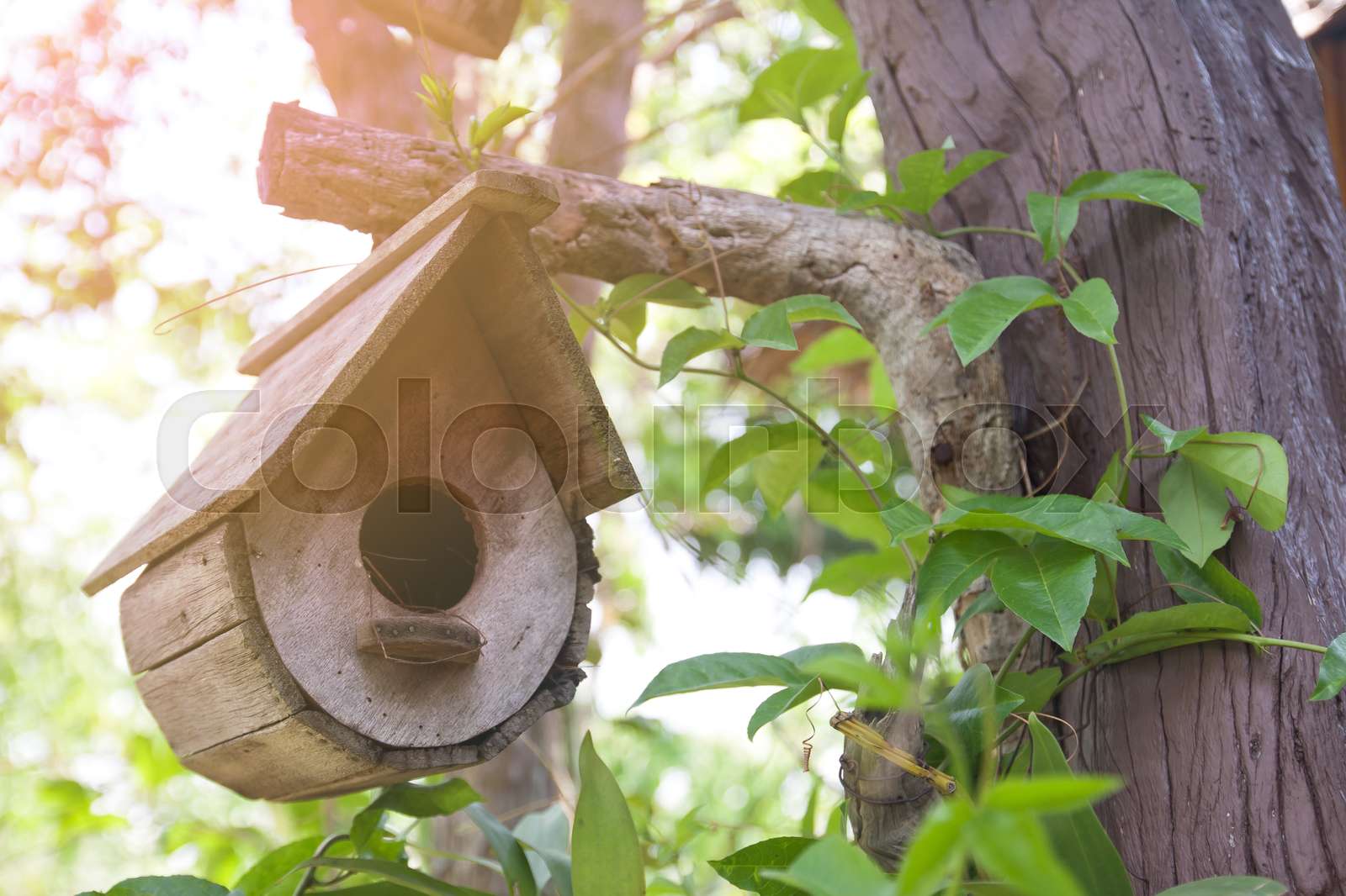 Wooden bird house on the tree | Stock image | Colourbox