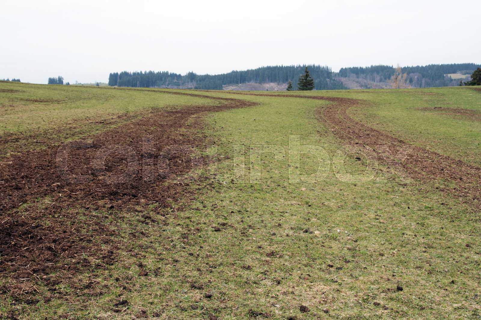Ein Bauer hat ein Feld mit Gülle gedüngt | Stock image | Colourbox