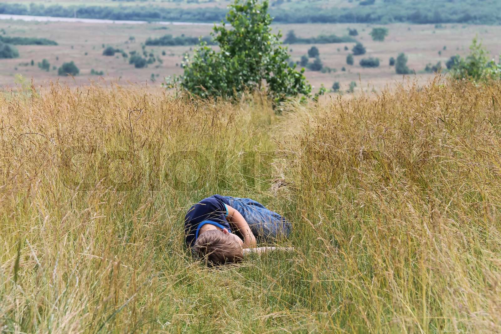 Handsome boy sleeping on meadow grass | Stock image | Colourbox