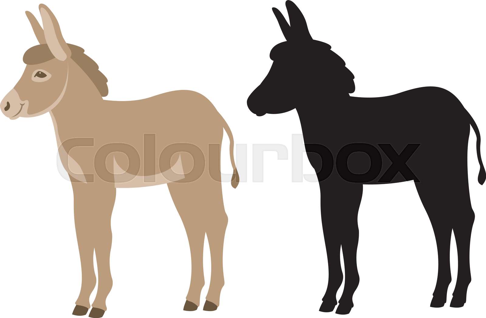 donkey vector | Stock vector | Colourbox