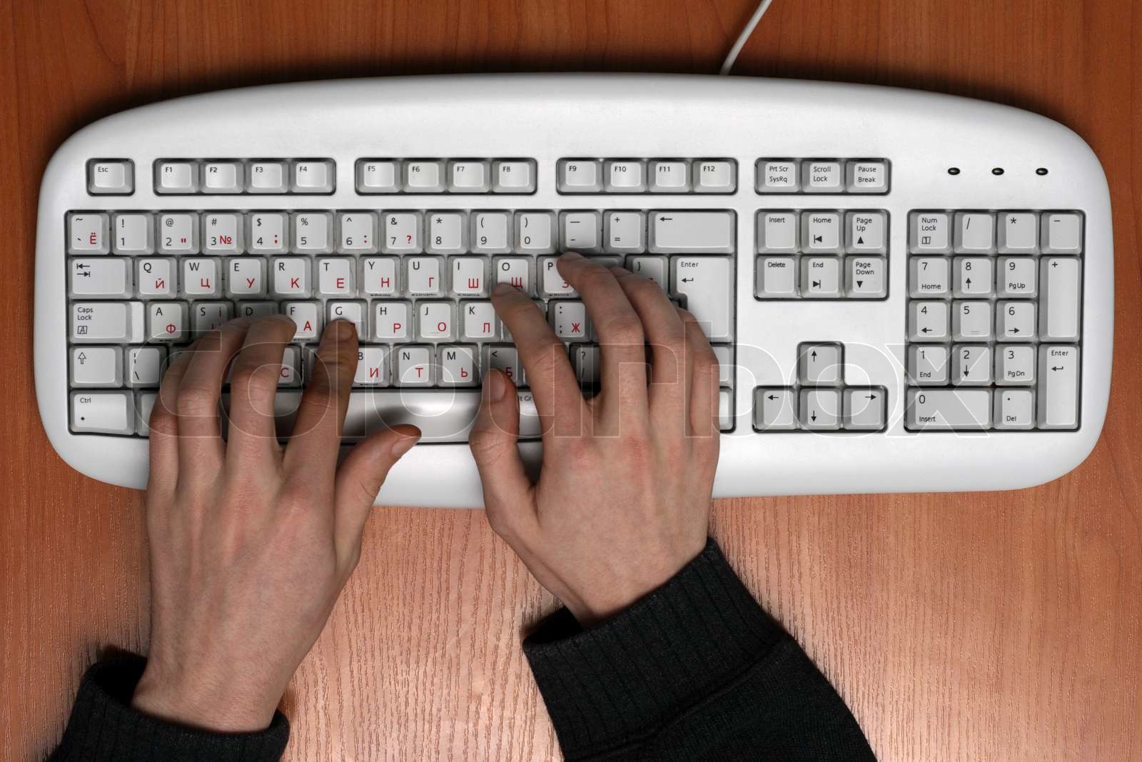 Person Eingabe etwas auf Computer-Tastatur | Stock Bild | Colourbox