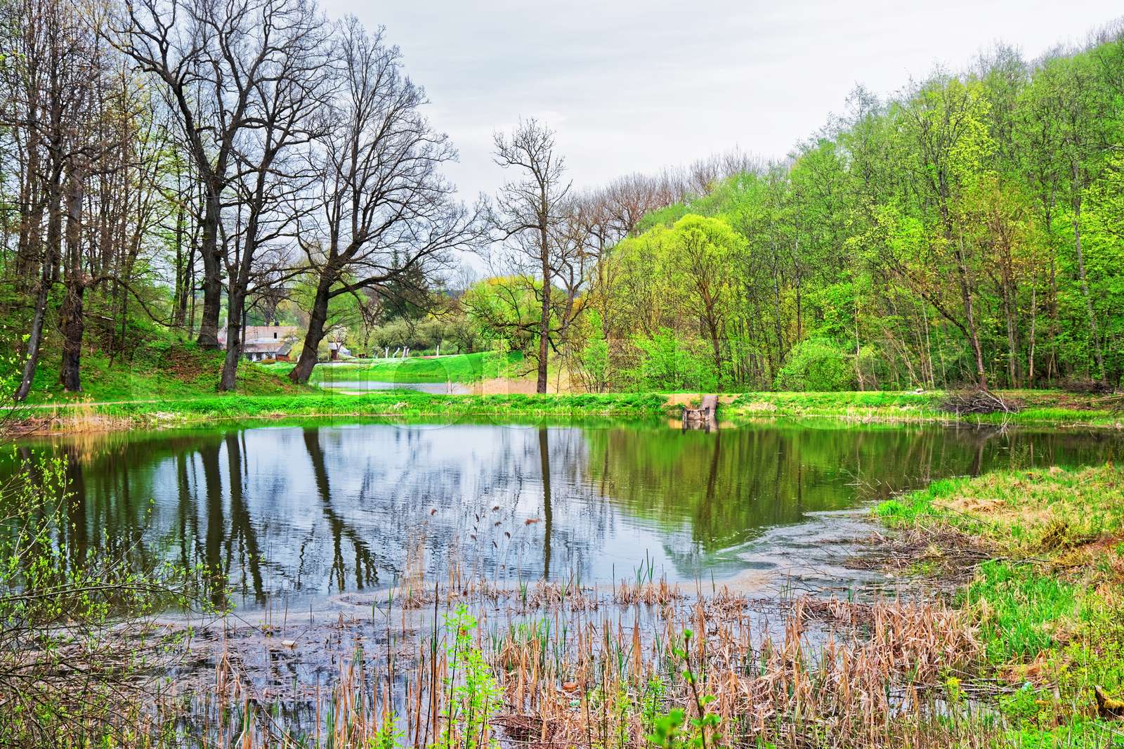 Pond at Traku Voke public park in Vilnius Baltic | Stock image | Colourbox