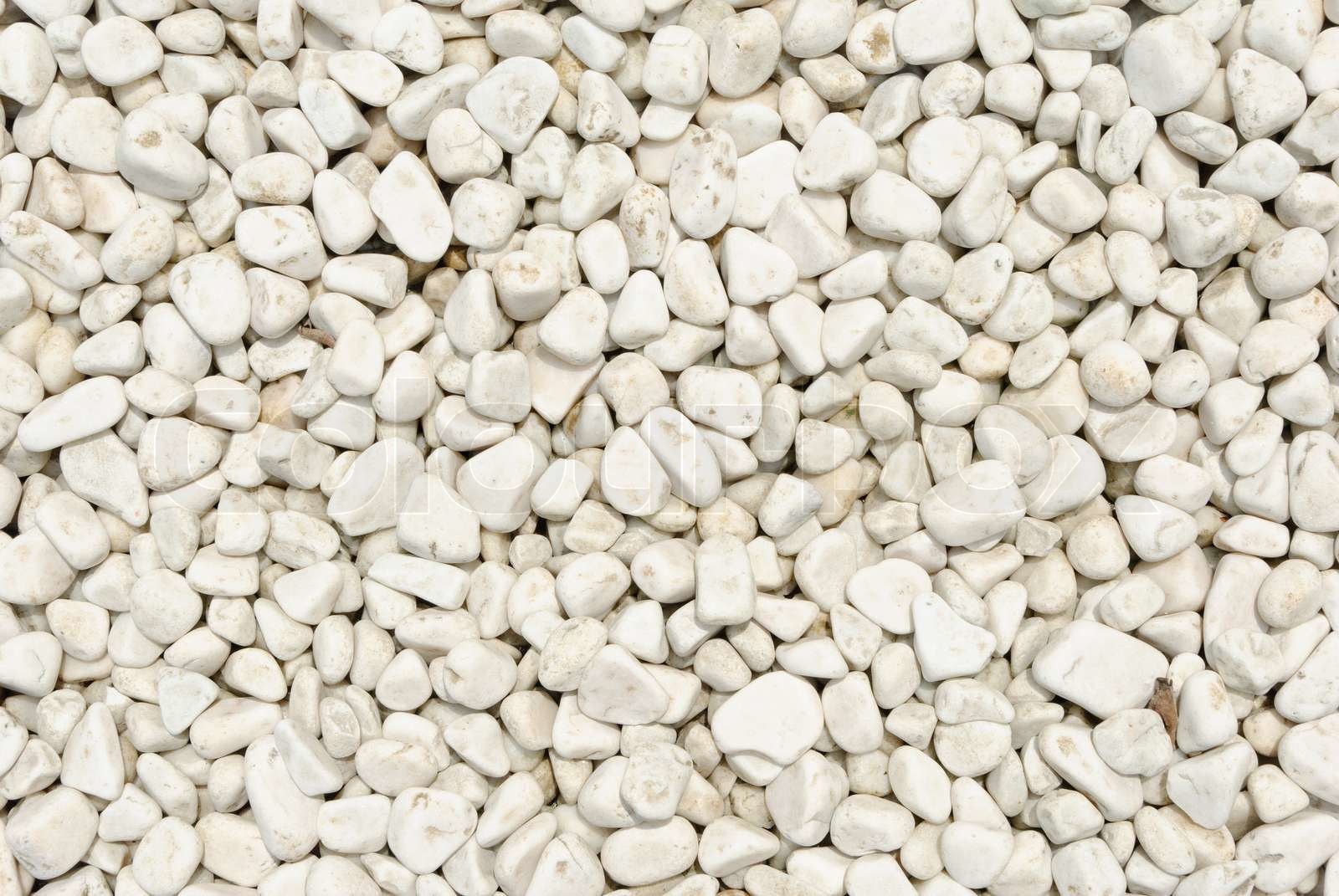 Small naturally polished white rock pebbles background | Stock image ...