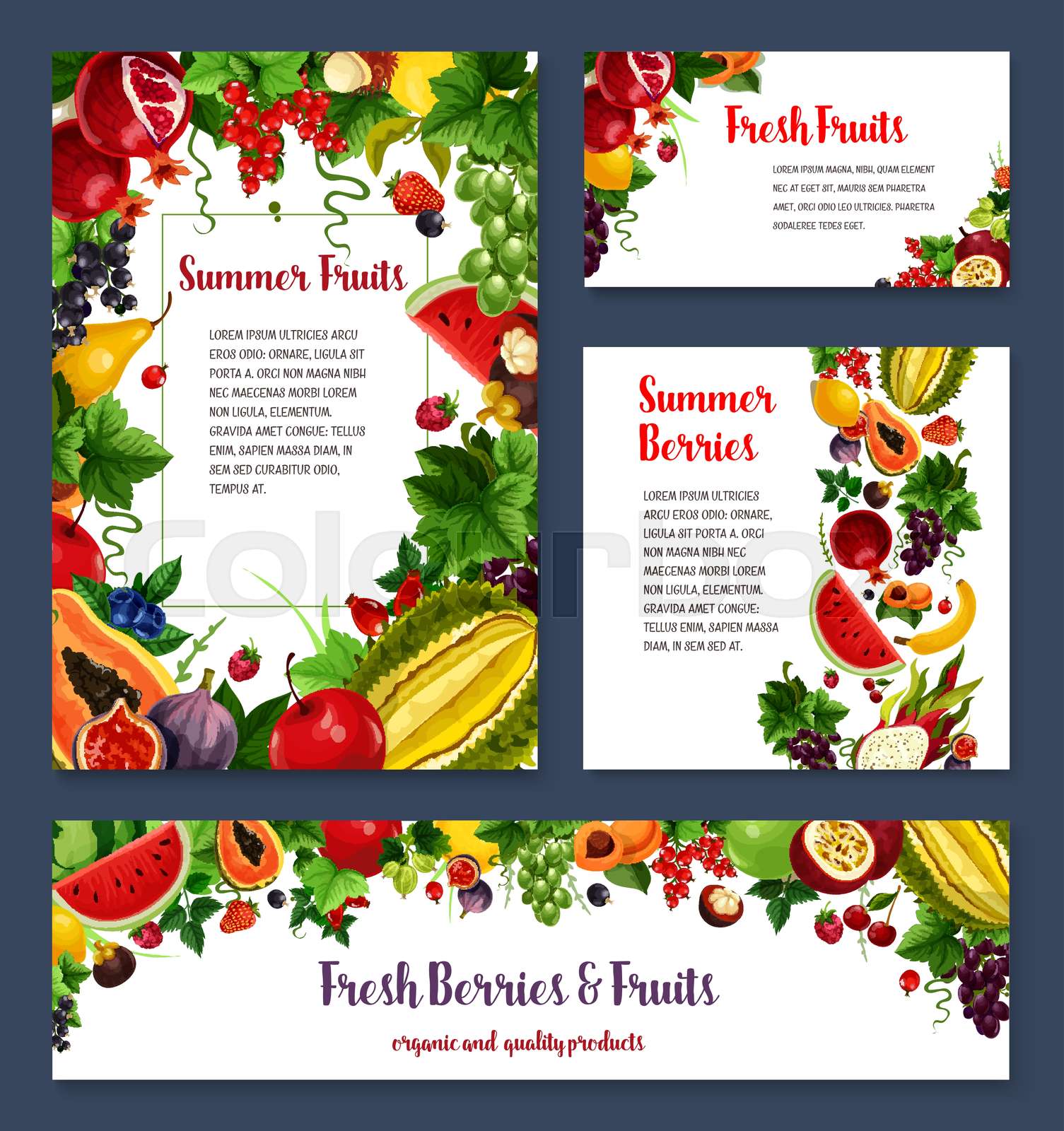 Vector templates for exotic garden fruits berries | Stock vector ...