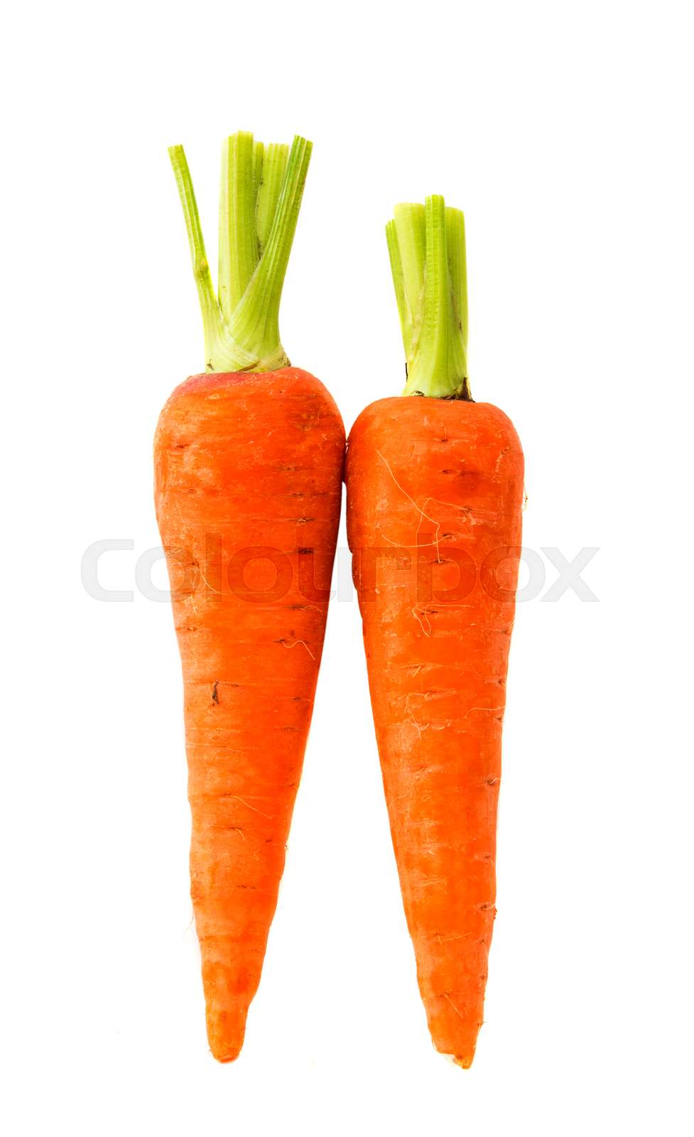 A pile of carrot isolated | Stock image | Colourbox
