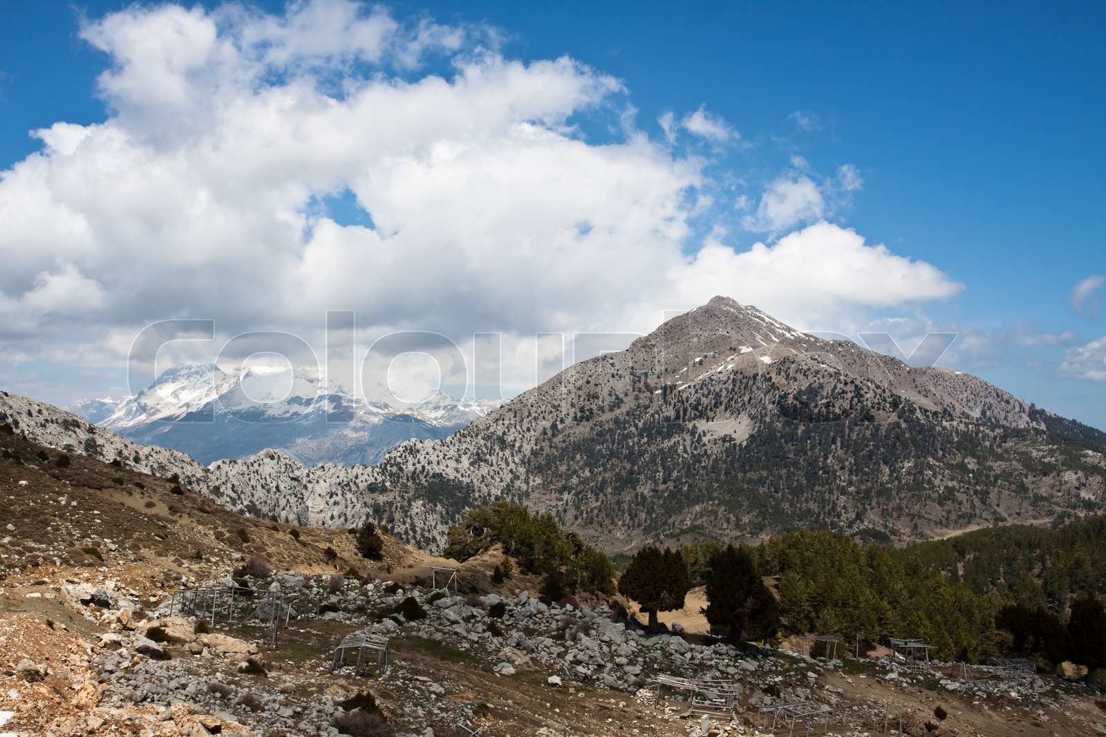 Mountain peak and green forest in Turkey | Stock image | Colourbox