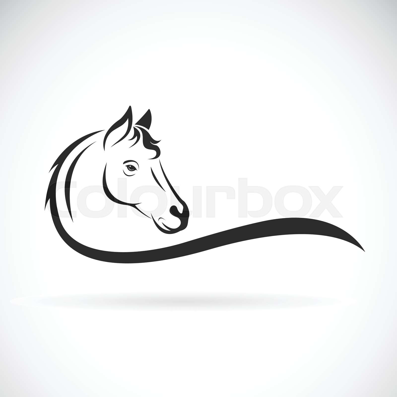 Horse Face Vector