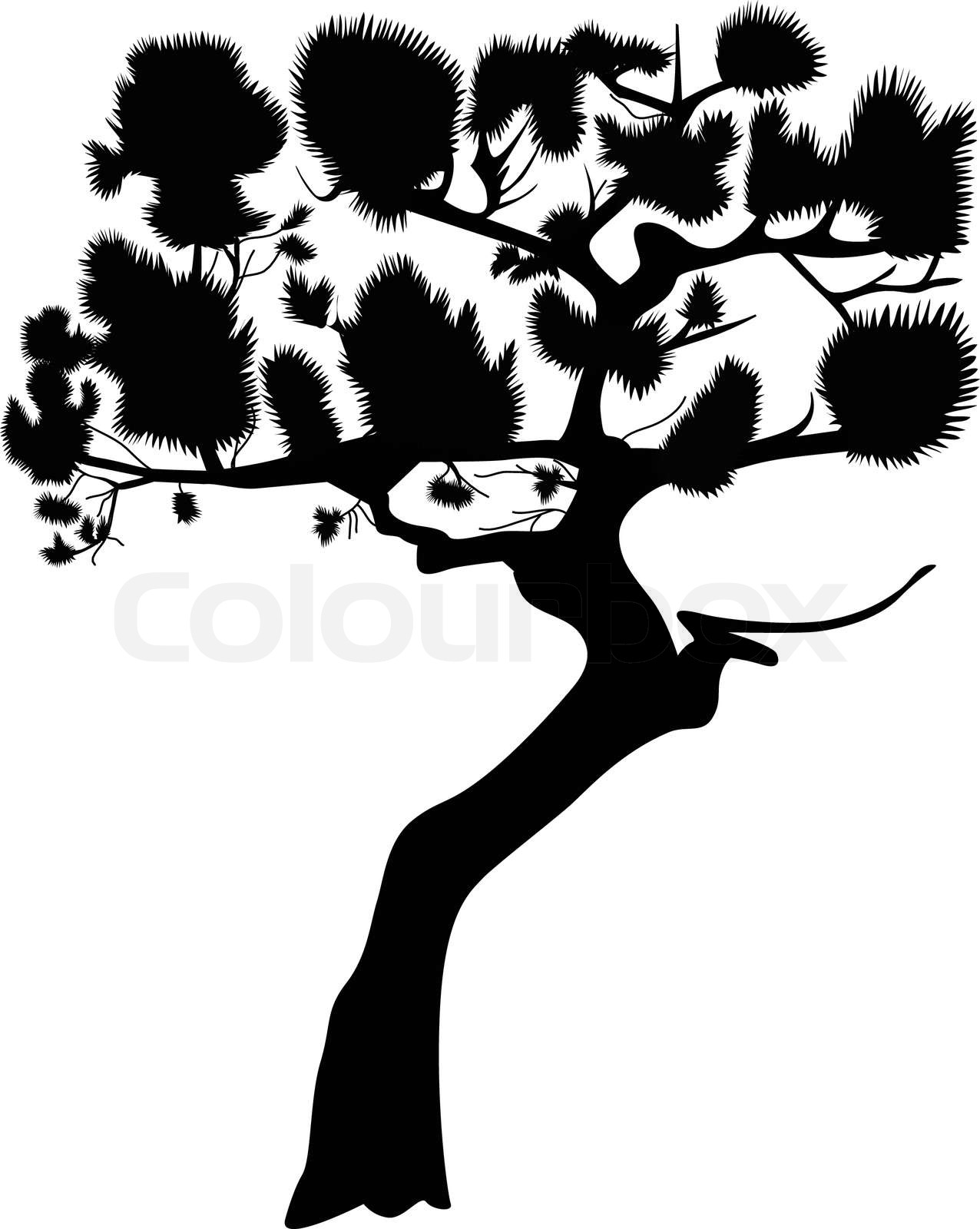 Fur-tree a fir a pine trees | Stock vector | Colourbox