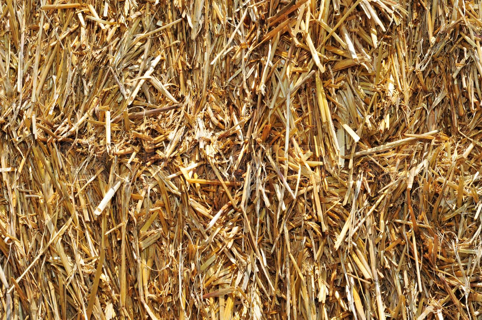 straw | Stock image | Colourbox