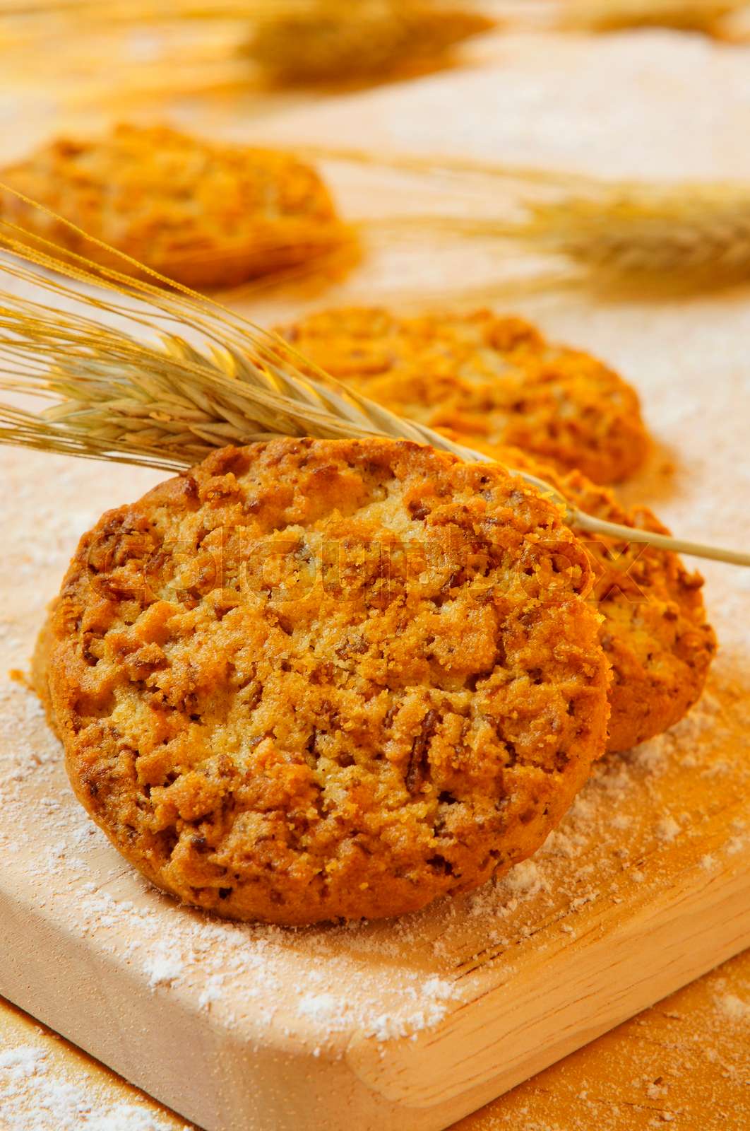 bran flake cookies | Stock image | Colourbox