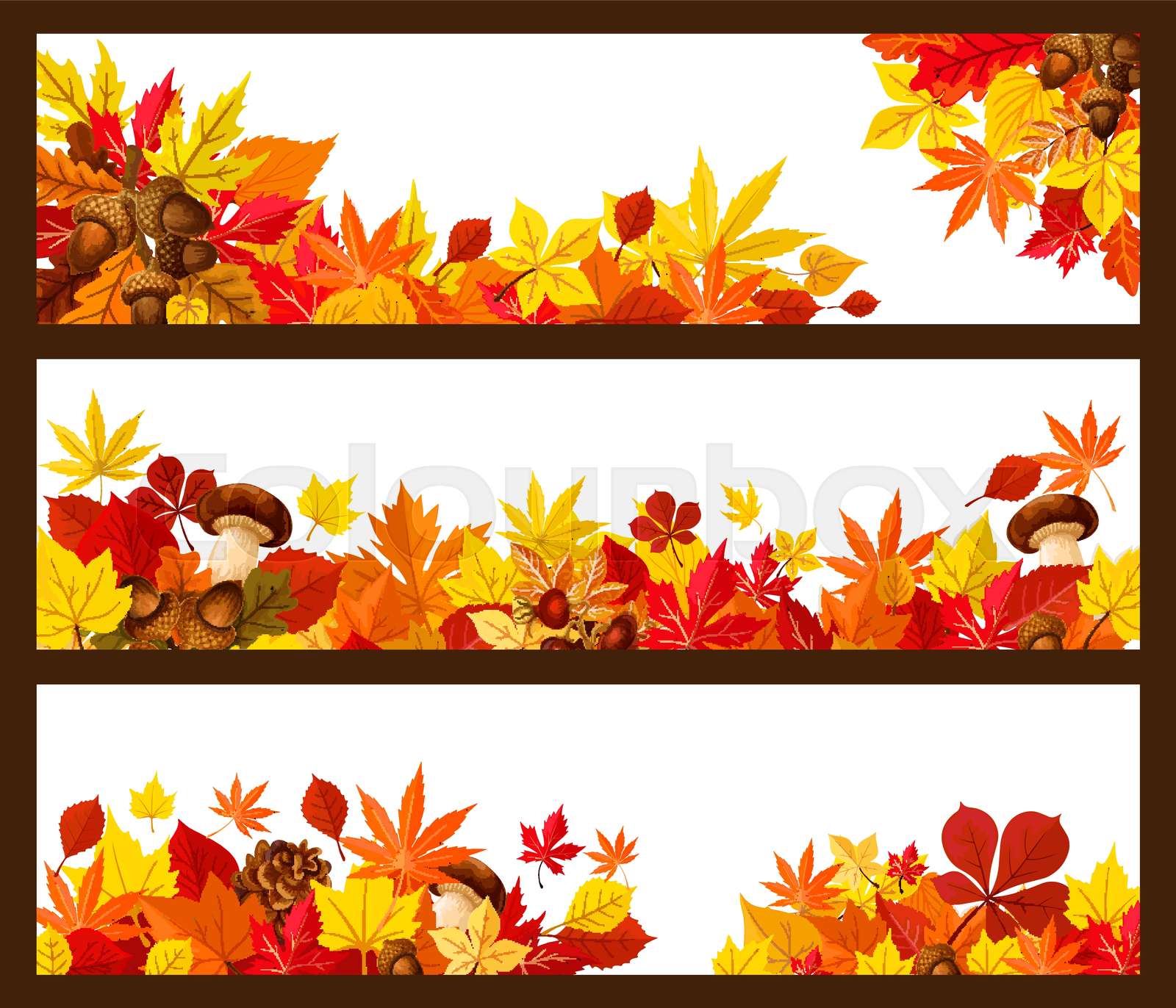 Fall Leaves Banner Clip Art