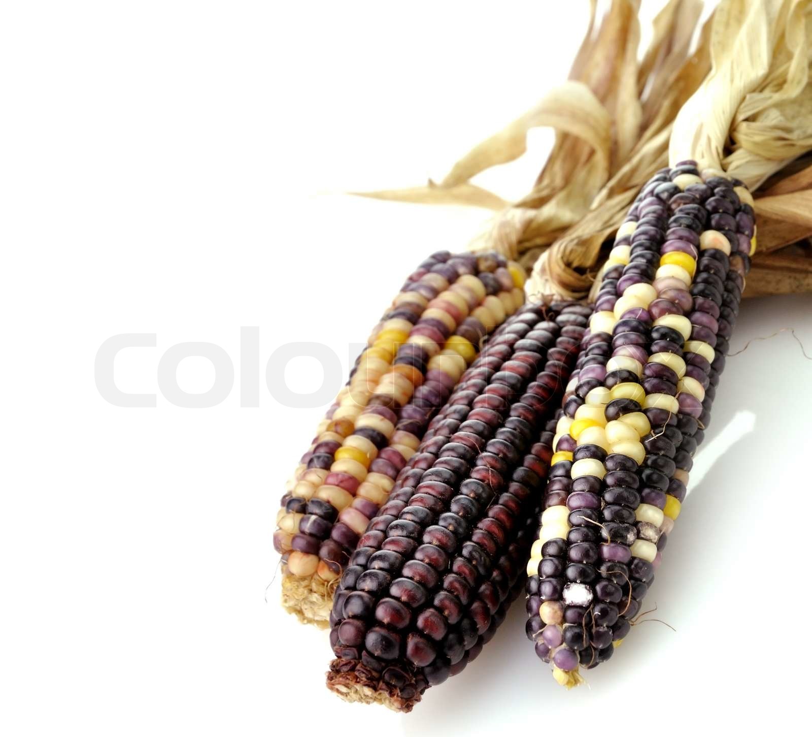 Colorful Dry Corn Cobs On White Background | Stock image | Colourbox