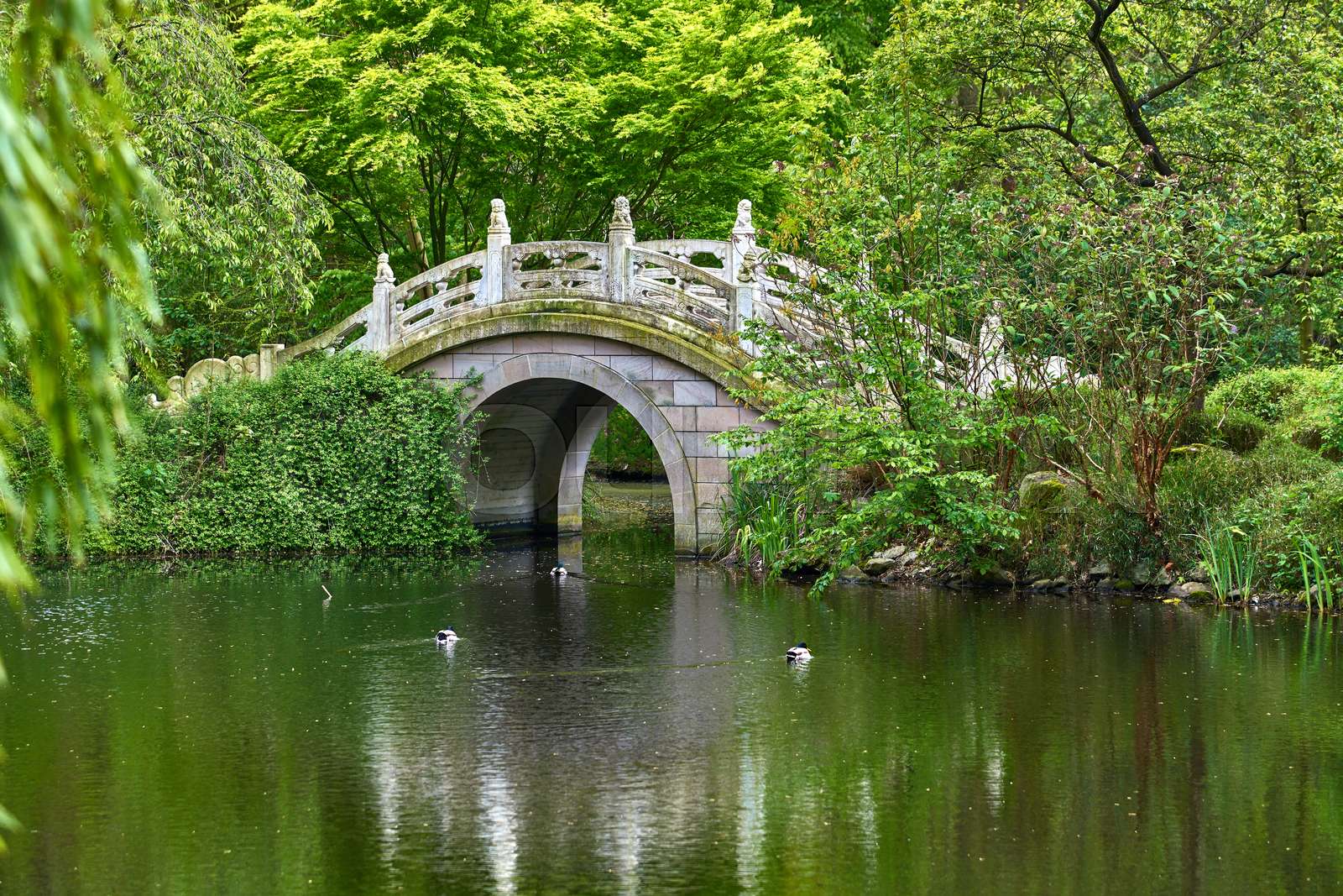 Bridge in the garden. Beautiful bridge | Stock image | Colourbox