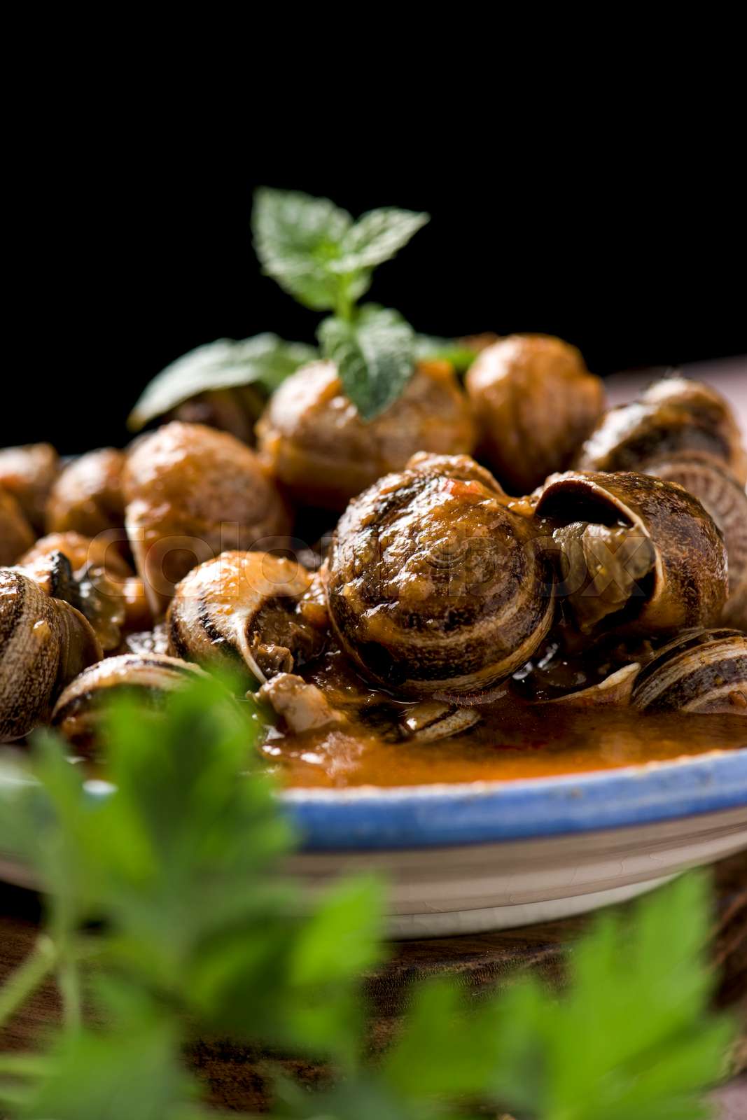 spanish caracoles en salsa, cooked snails in sauce | Stock image ...