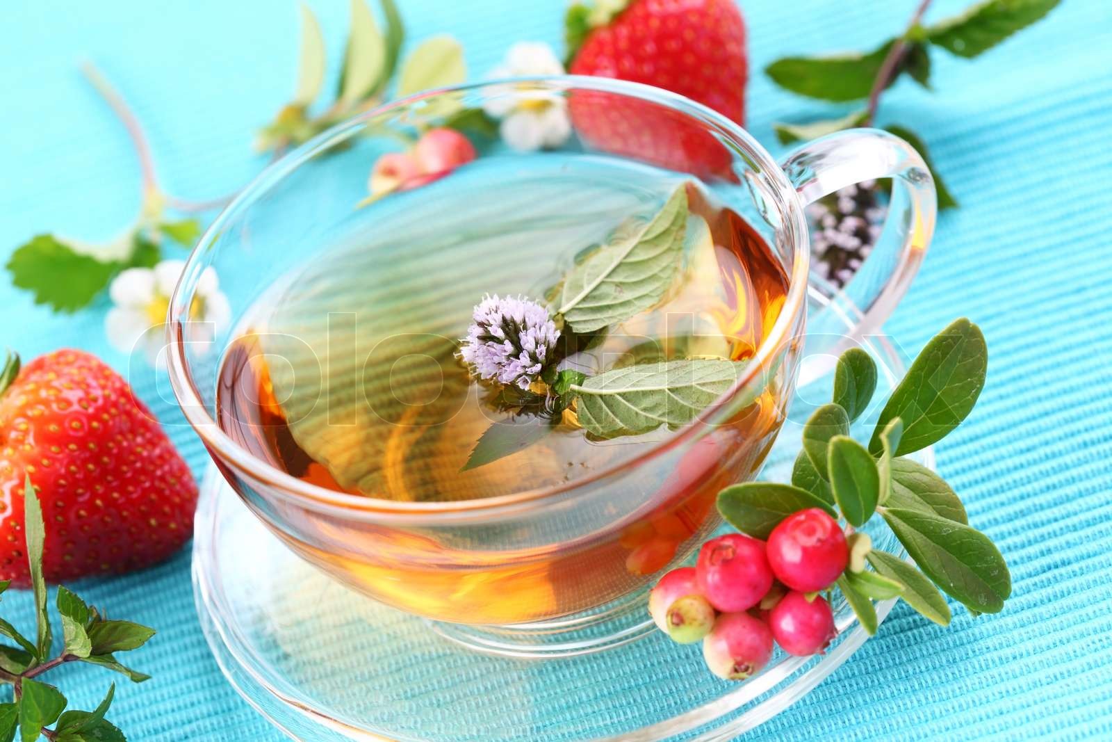 Vitality Tee mit Preiselbeeren und Minze Vitalität berry | Stock Bild ...