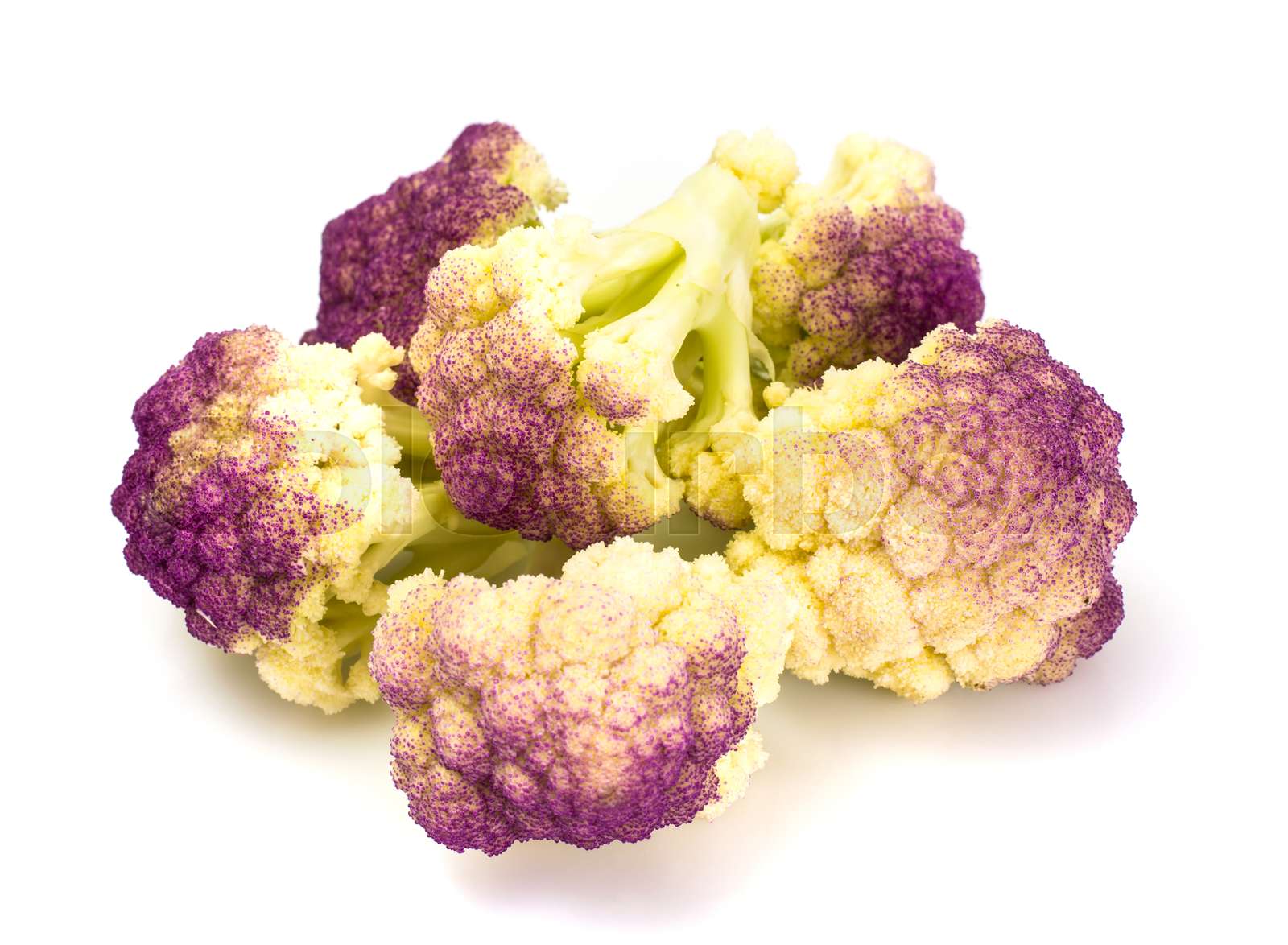 Italian purple cauliflower | Stock image | Colourbox