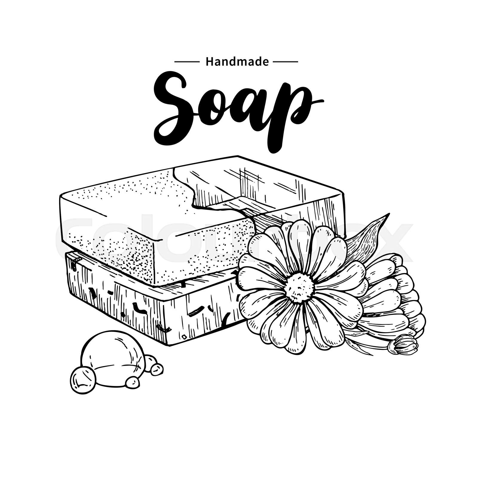 Handmade natural soap. Vector hand drawn illustration of organic ...