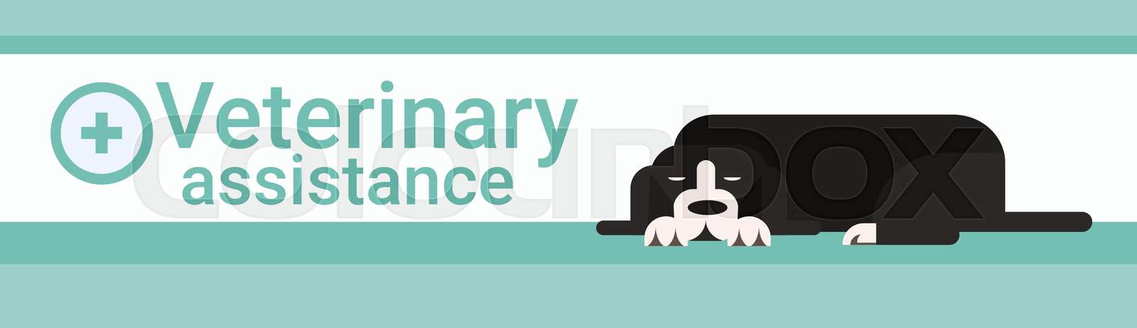 Veterinary Assistance Clinic For Animals Pets Vet Service Banner ...