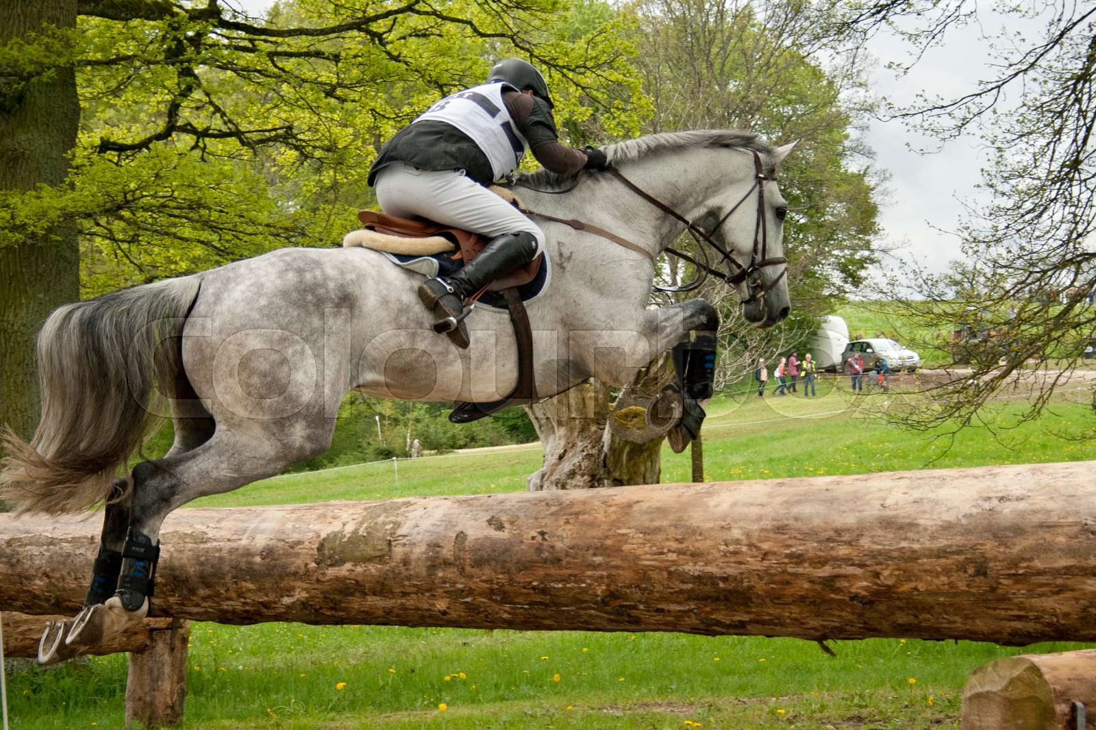 springreiten | Stock Bild | Colourbox