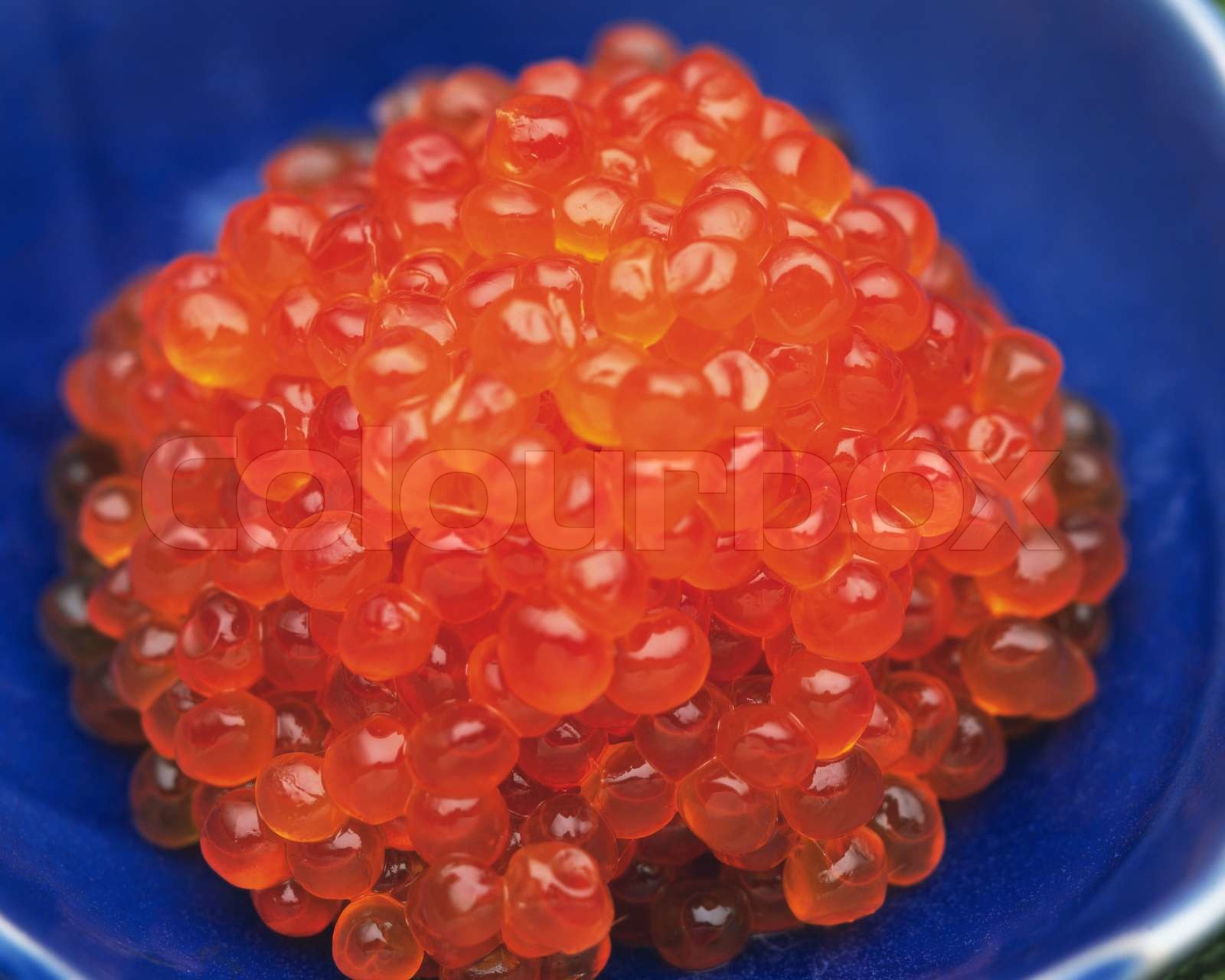 caviar red | Stock image | Colourbox