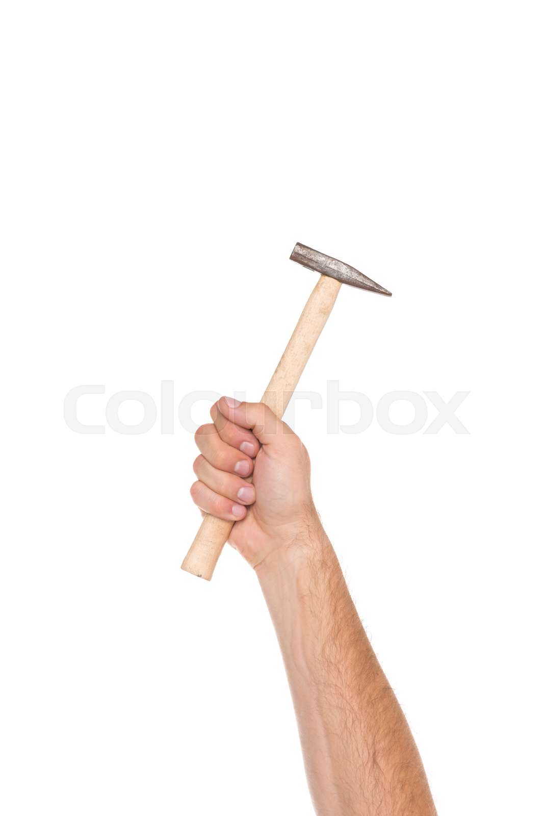 hammer | Stock image | Colourbox