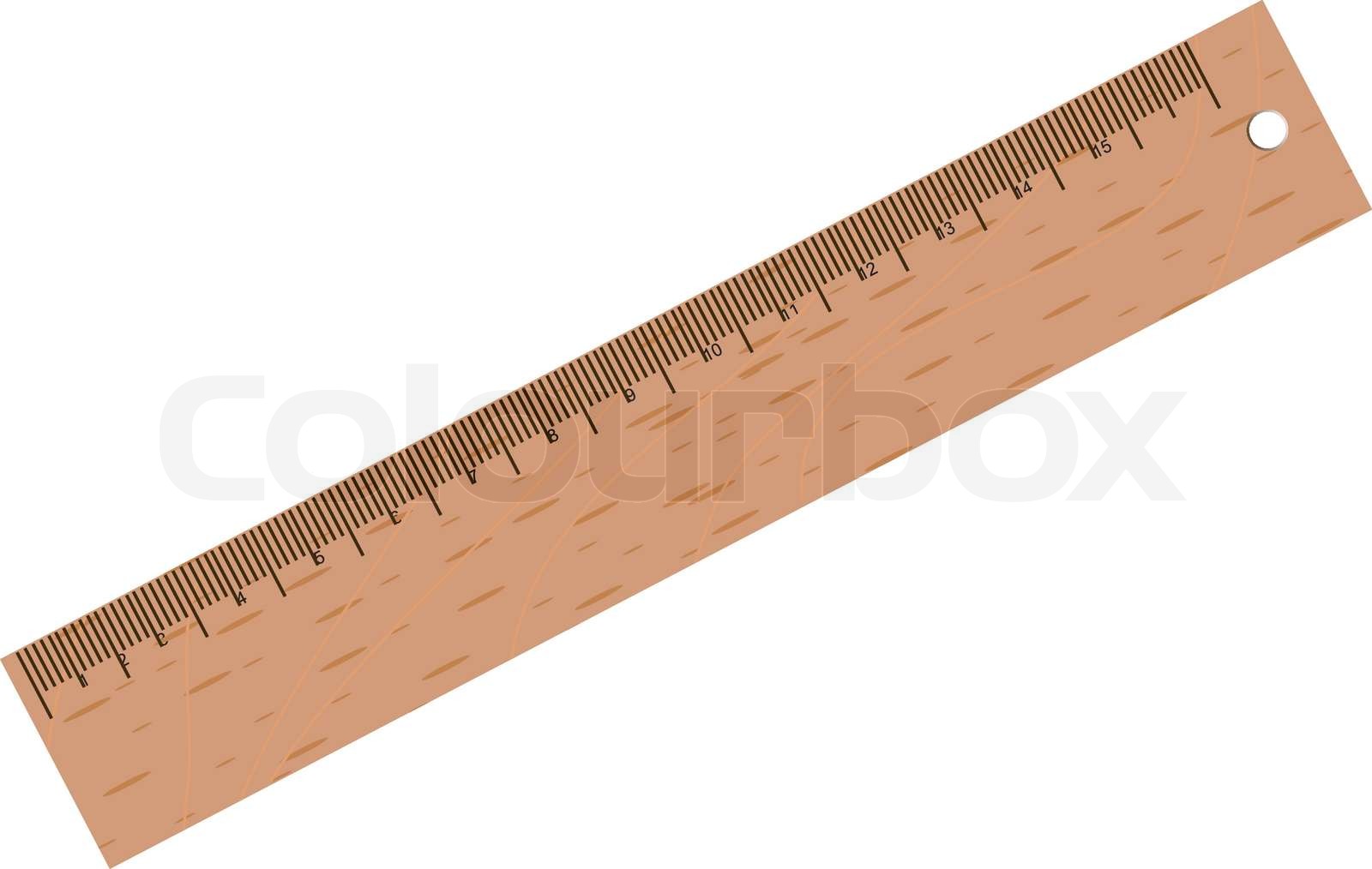 Vector træ lineal | Stock vektor | Colourbox