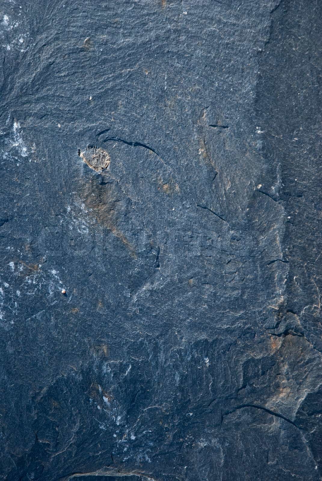 Ein Hintergrund-Textur von Schiefergestein | Stock Bild | Colourbox