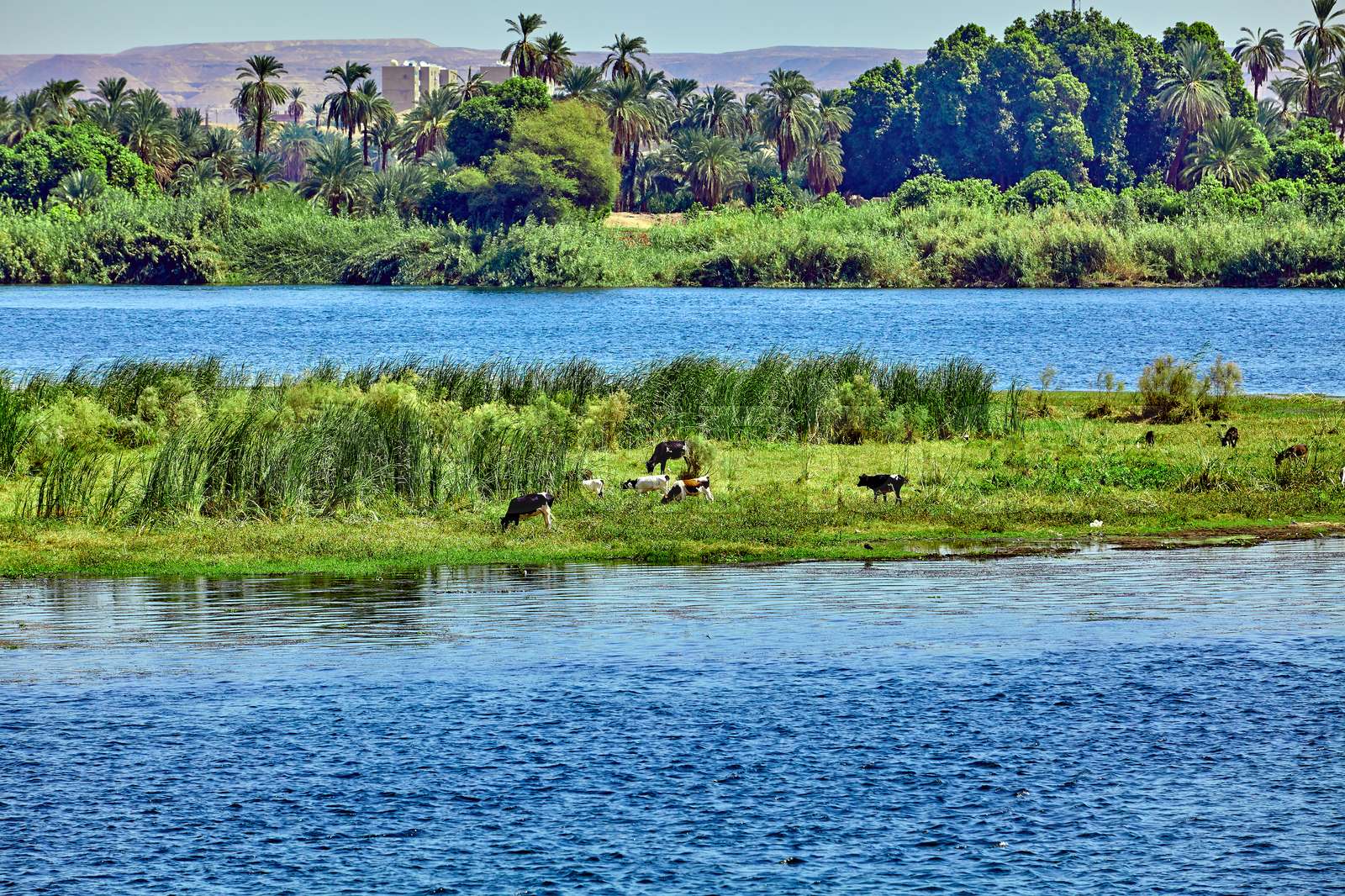River Nile in Egypt. beautiful landscape | Stock image | Colourbox