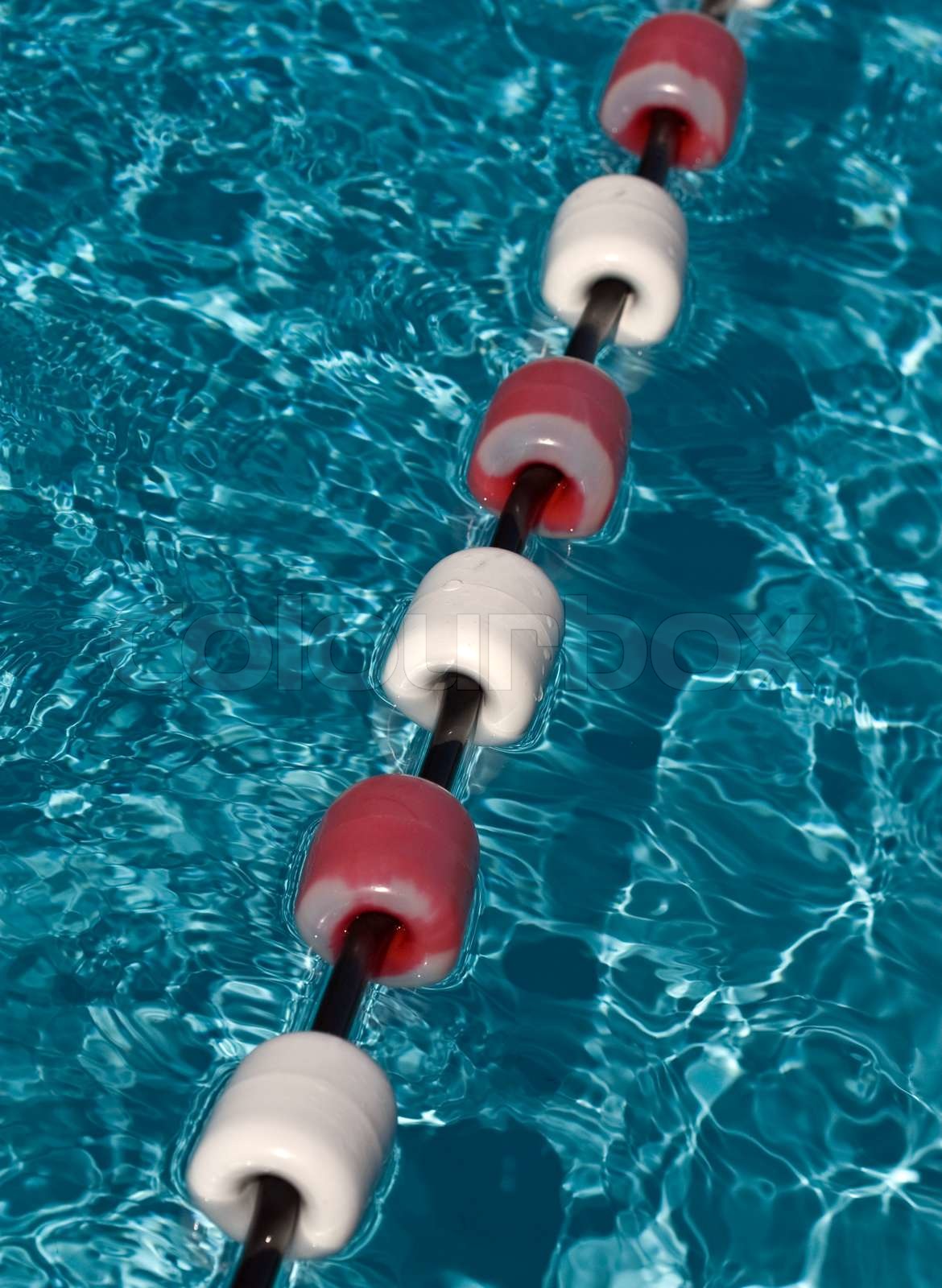 Colored stripe in swimming pool | Stock image | Colourbox