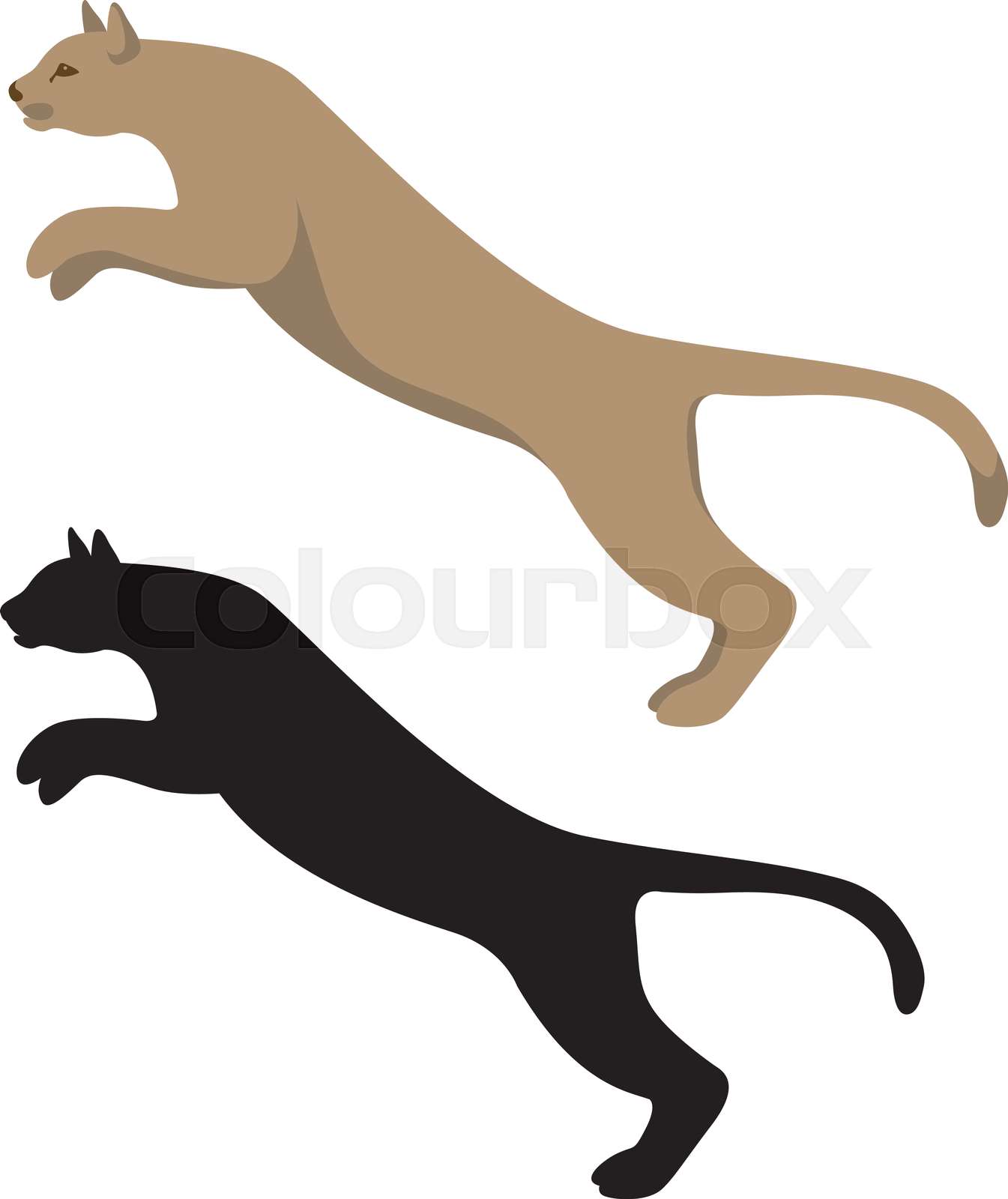 puma vector | Stock vector | Colourbox
