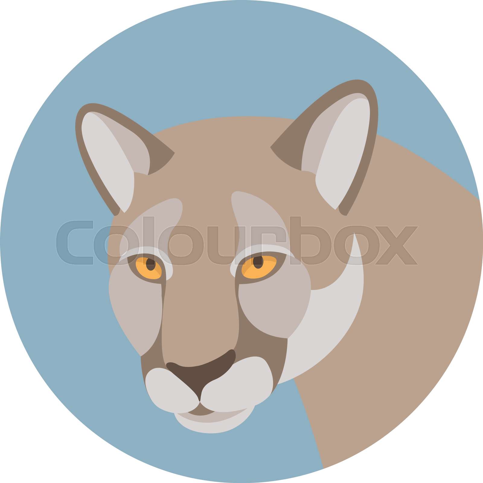 puma head vector | Stock vector | Colourbox