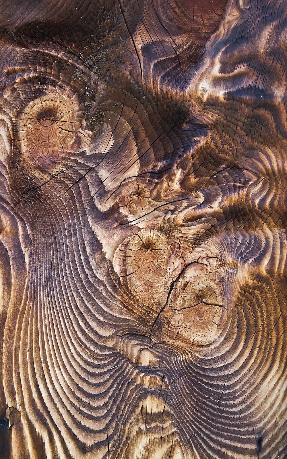 Closeup of the tarred wooden structure | Stock image | Colourbox