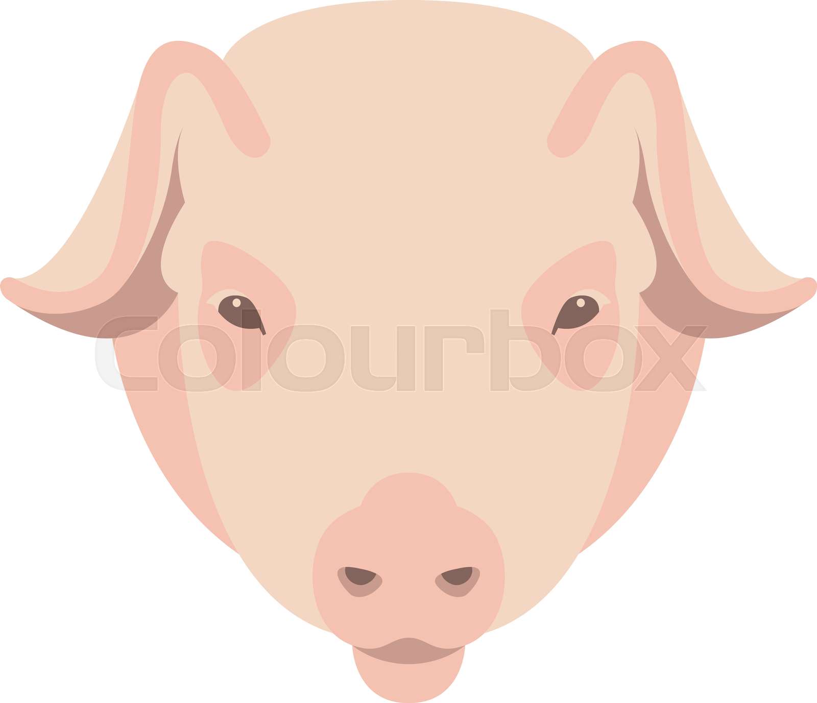 pig face vector | Stock vector | Colourbox