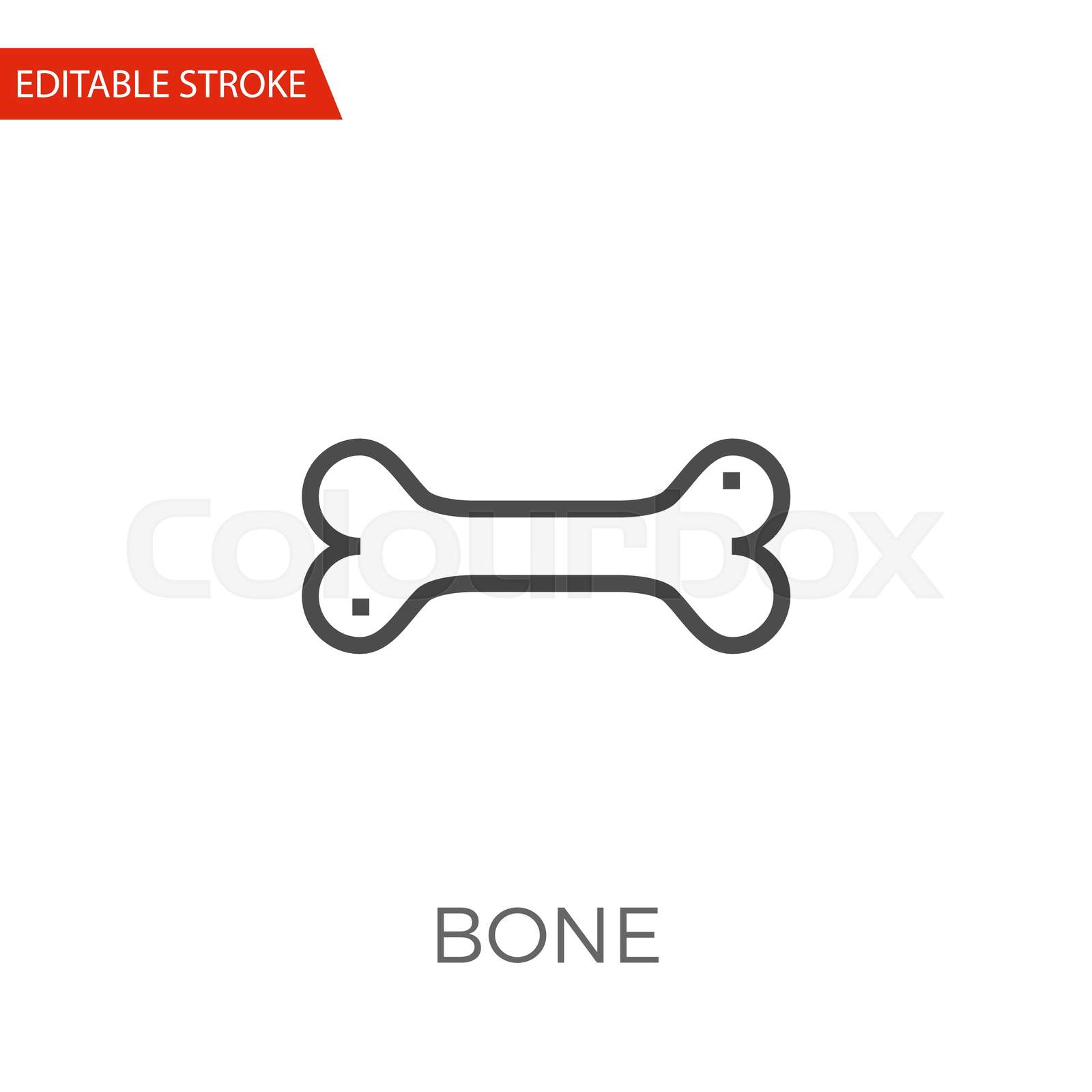 Bone Vector Icon | Stock vector | Colourbox