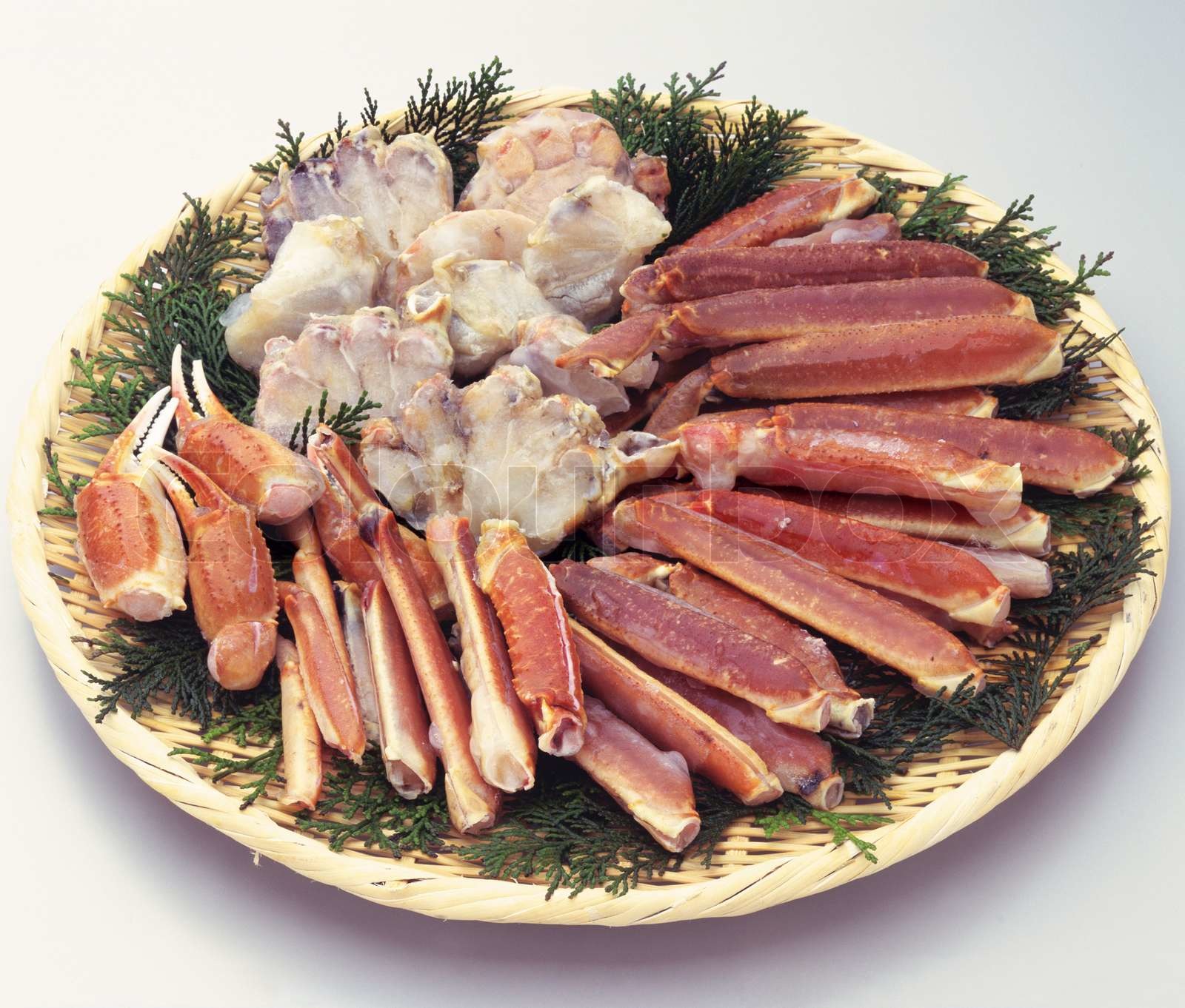 En af mine favorit skaldyr snekrabbe fra Alaska | Stock foto | Colourbox