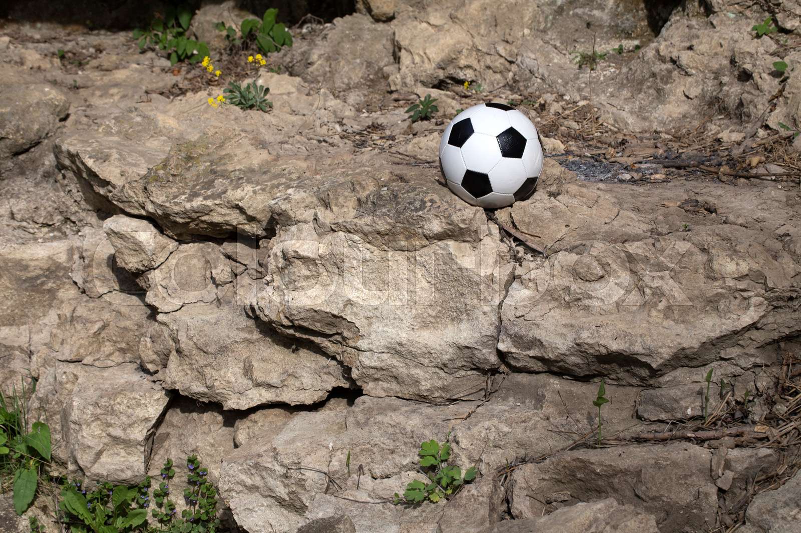 Football and the dark stone. | Stock image | Colourbox