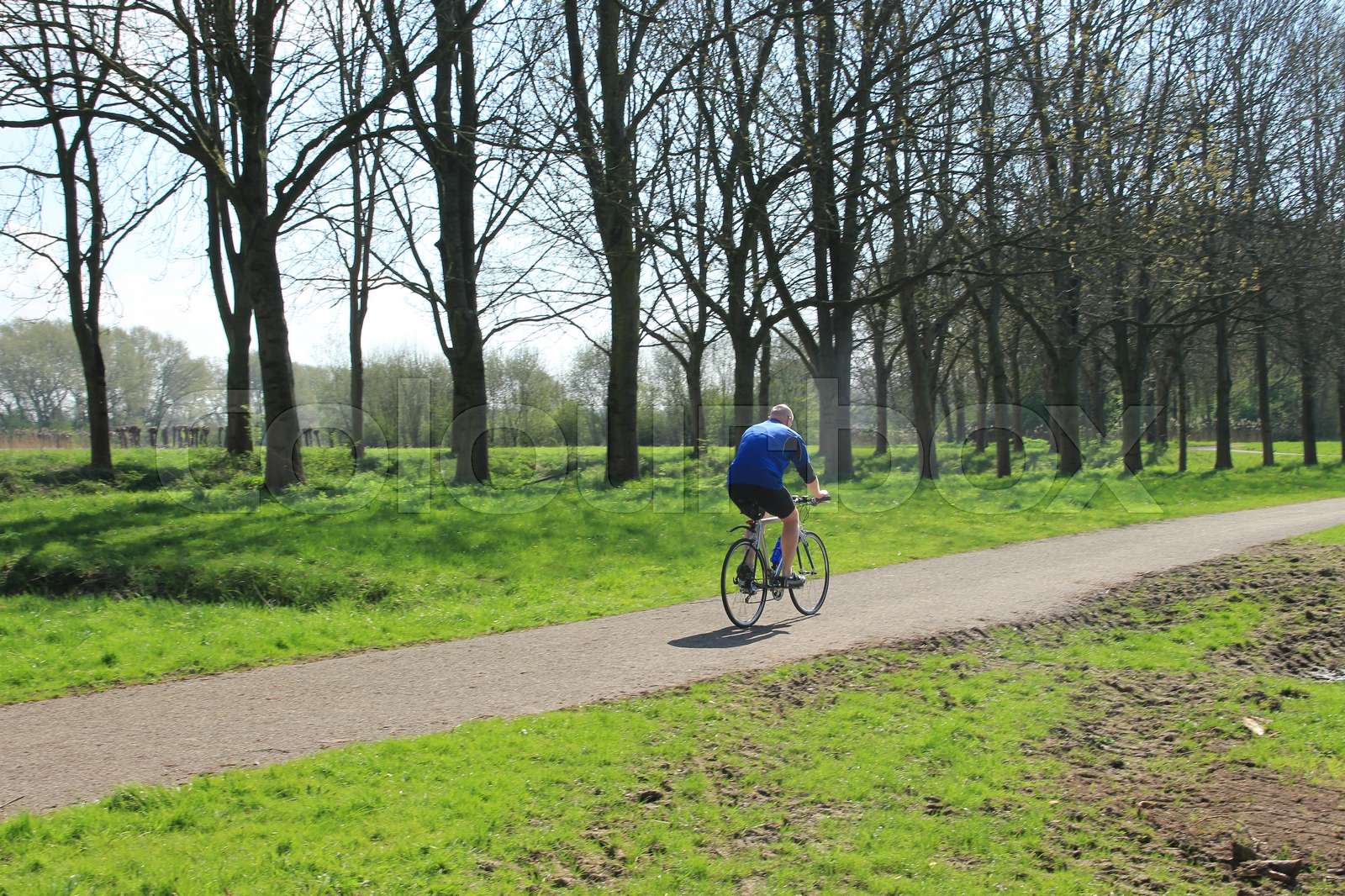The solitary cyclist is cycling in the park at the country side in ...
