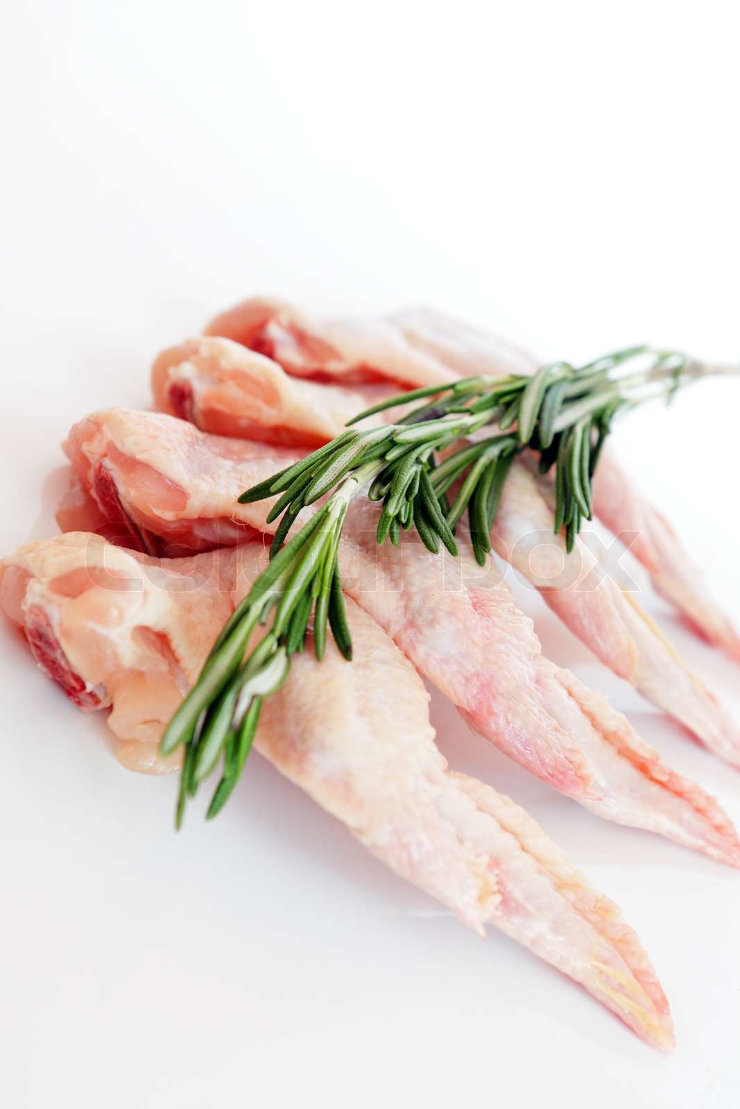 rå kylling vinger med rosmarin på hvid baggrund | Stock foto | Colourbox