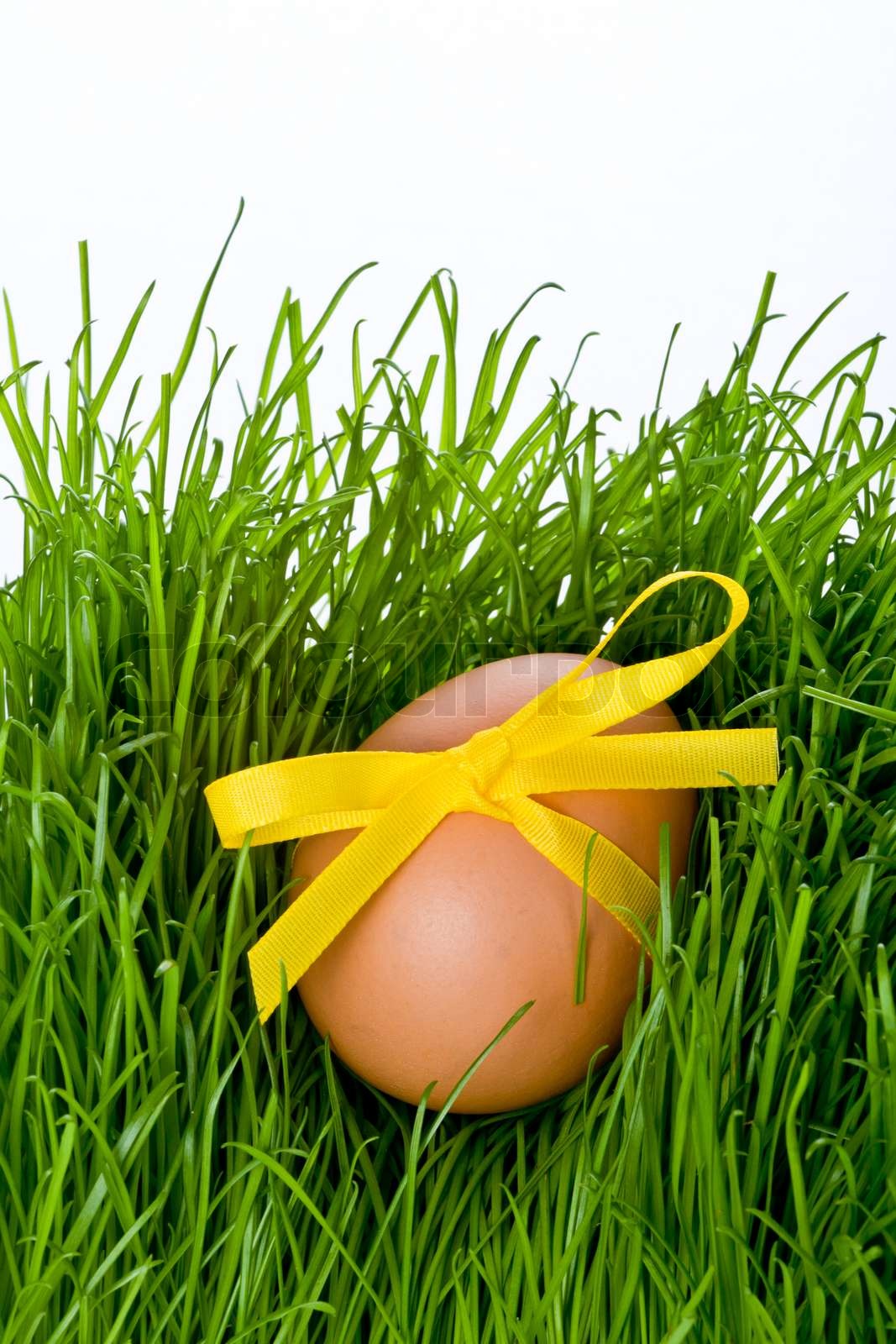 dekoriert Osterei im Gras | Stock Bild | Colourbox