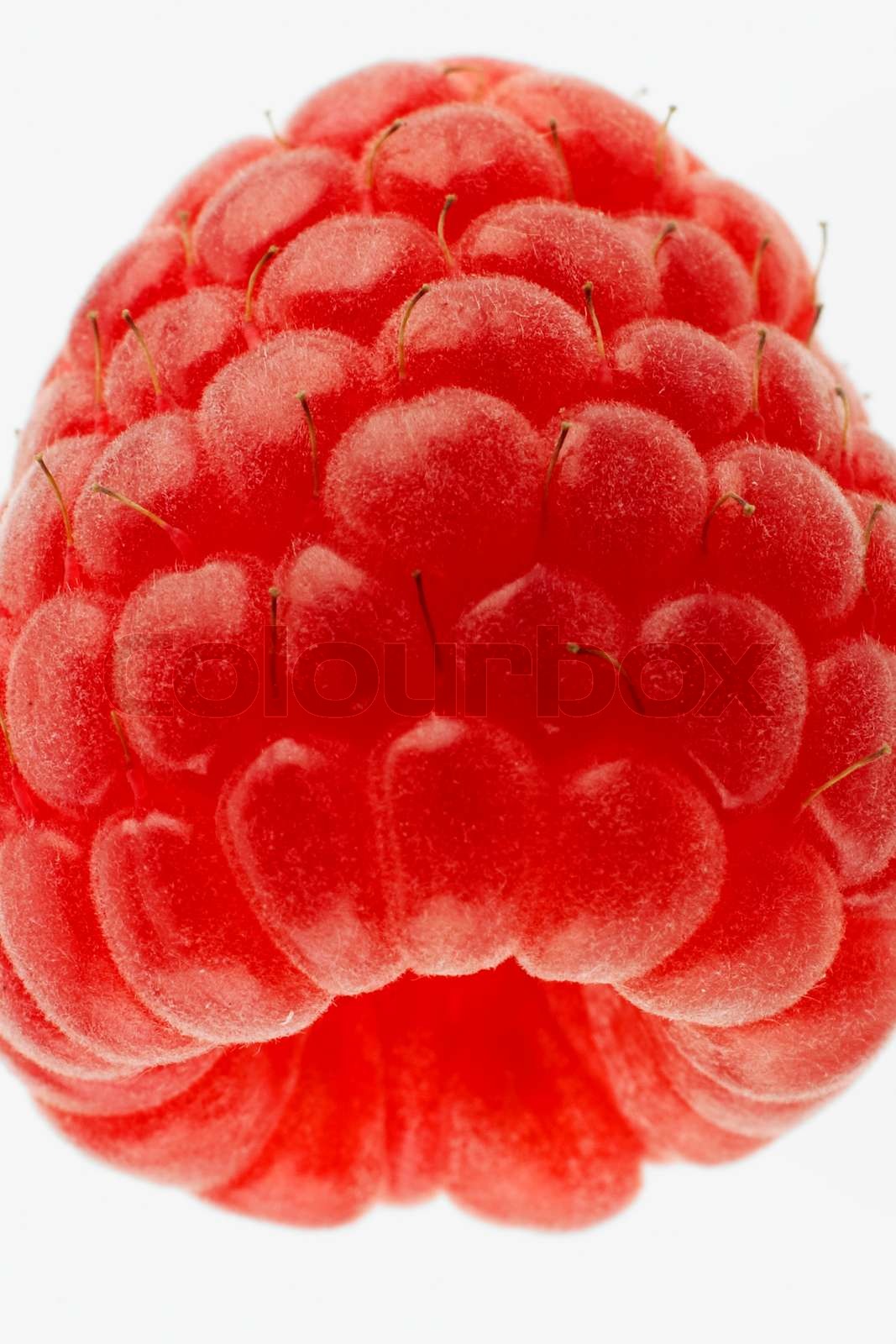 raspberry close up | Stock image | Colourbox